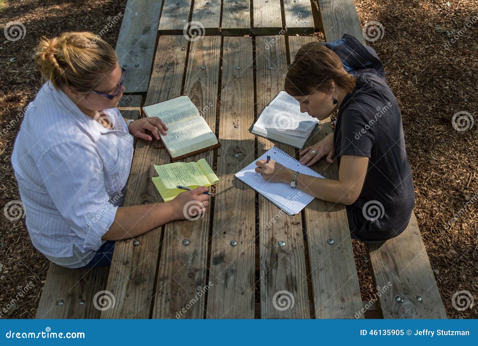 Studiy Photos - Free & Royalty-Free Stock Photos from Dreamstime