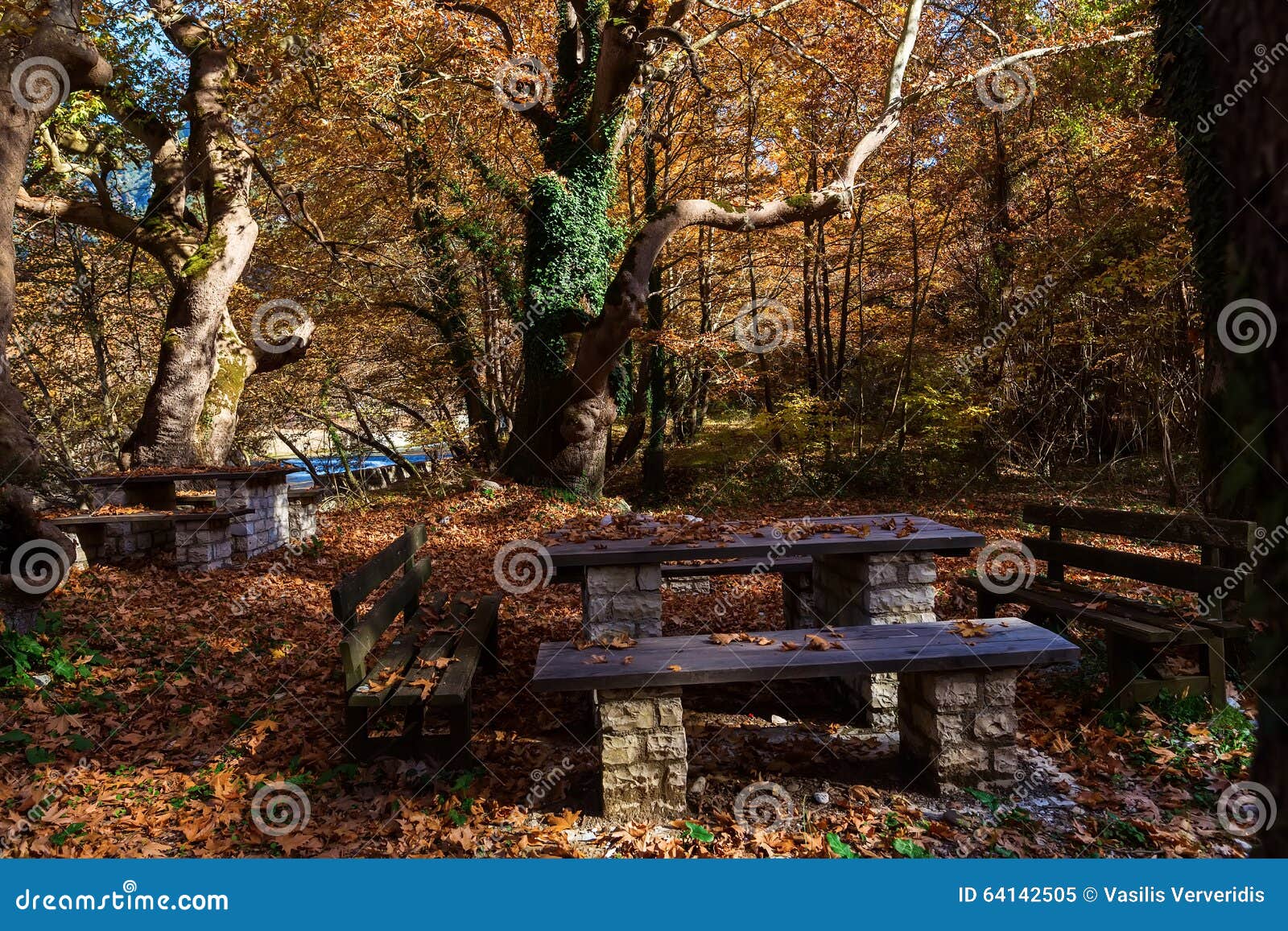 Picnic Table Covered with Leaves in the Forest Stock Image - Image of ...