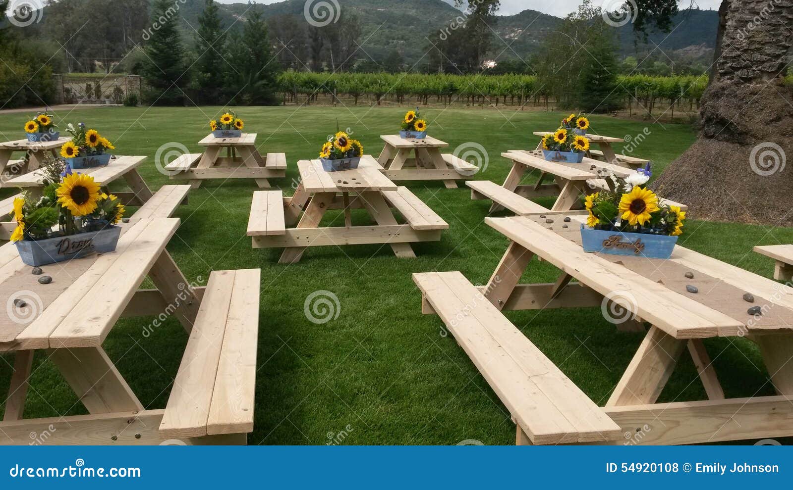 Picnic table display stock photo. Image of table, picnic - 54920108