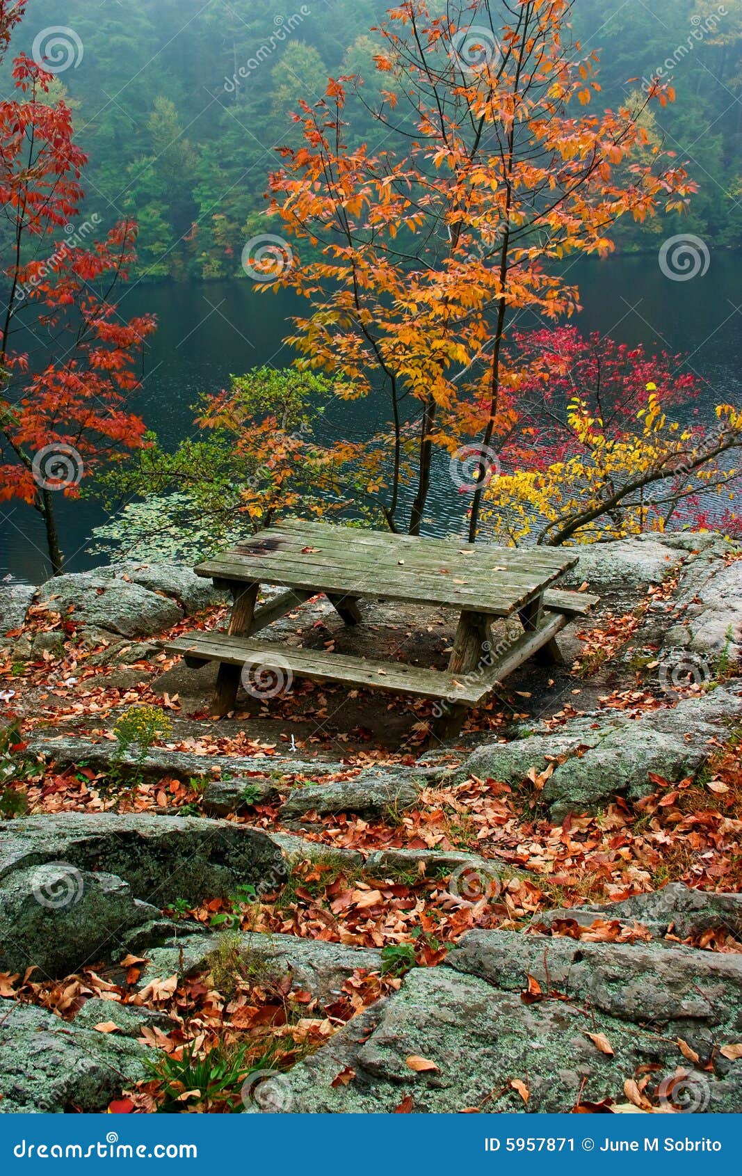 Picnic Table in Fall stock image. Image of games, relax - 5957871