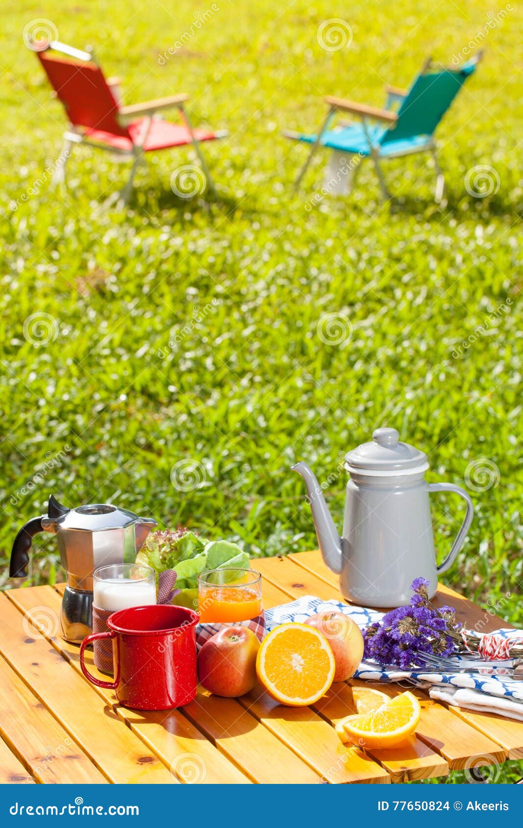 Picnic table stock photo. Image of snack, meadow, bread - 77650824