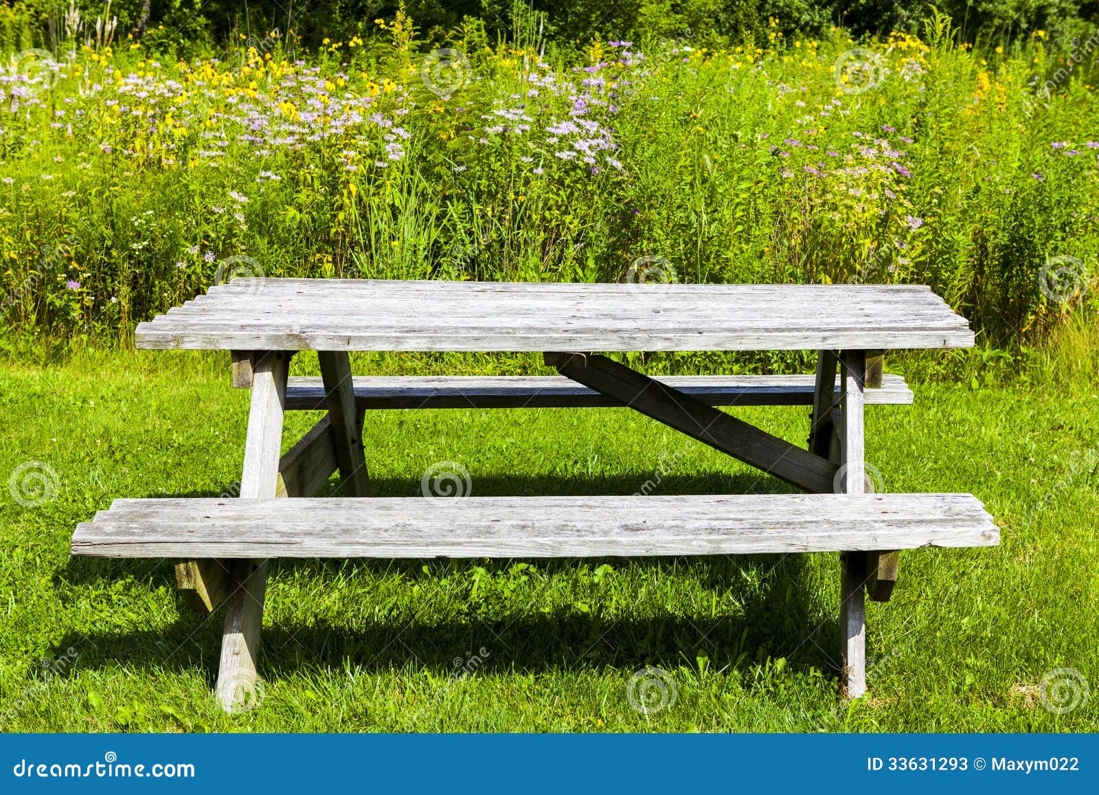 Picnic Table stock image. Image of outside, picnic, green - 33631293