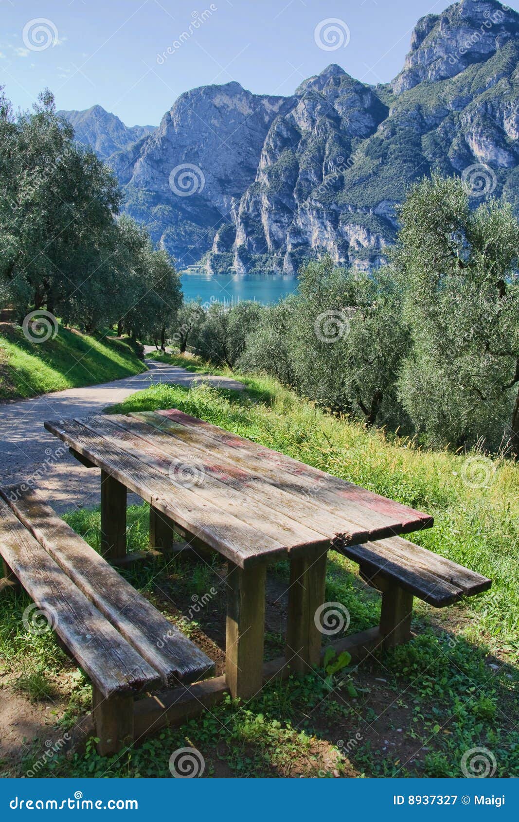 Picnic Table with Lake View Stock Image - Image of forest, lake: 8937327