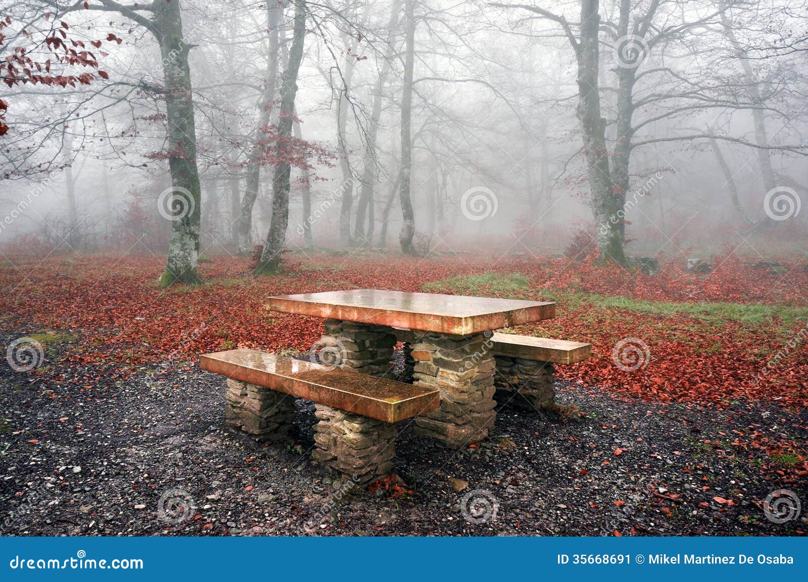 Picnic Table in Misty Forest Stock Image - Image of mystery, nature ...