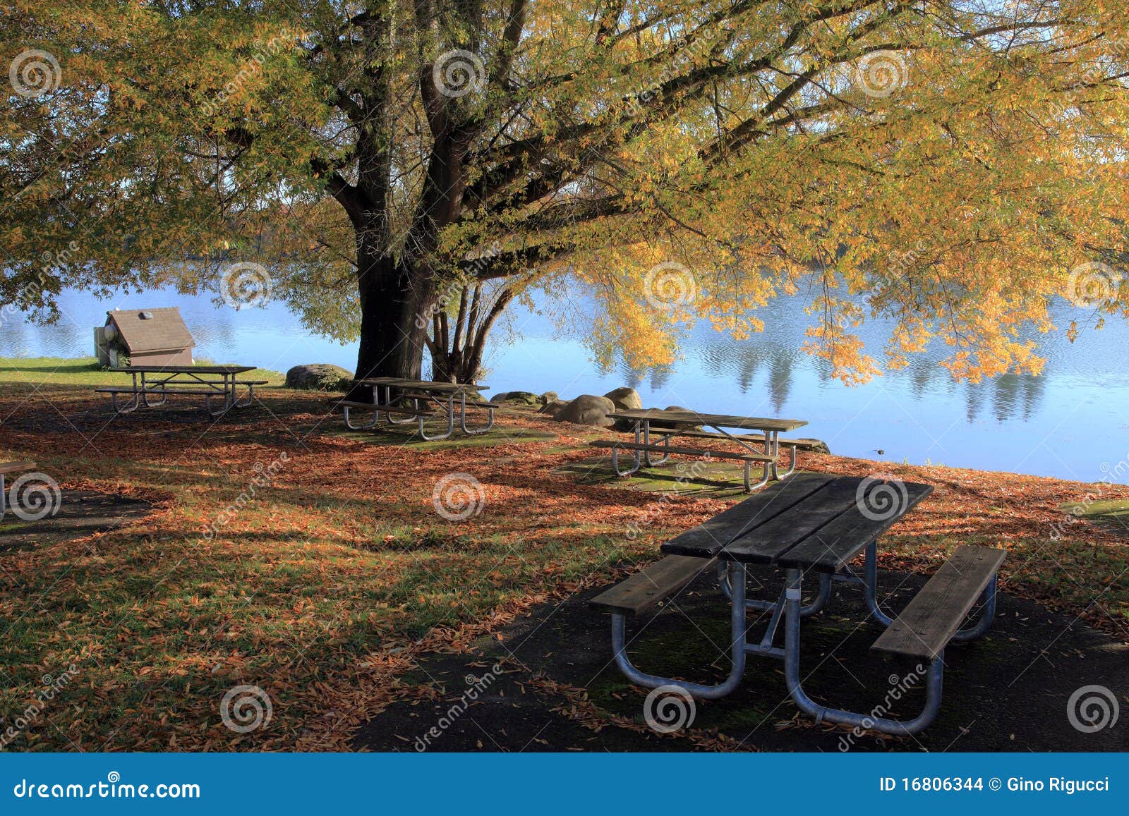A Picnic Table Near a Lake. Stock Photo - Image of park, shadows: 16806344