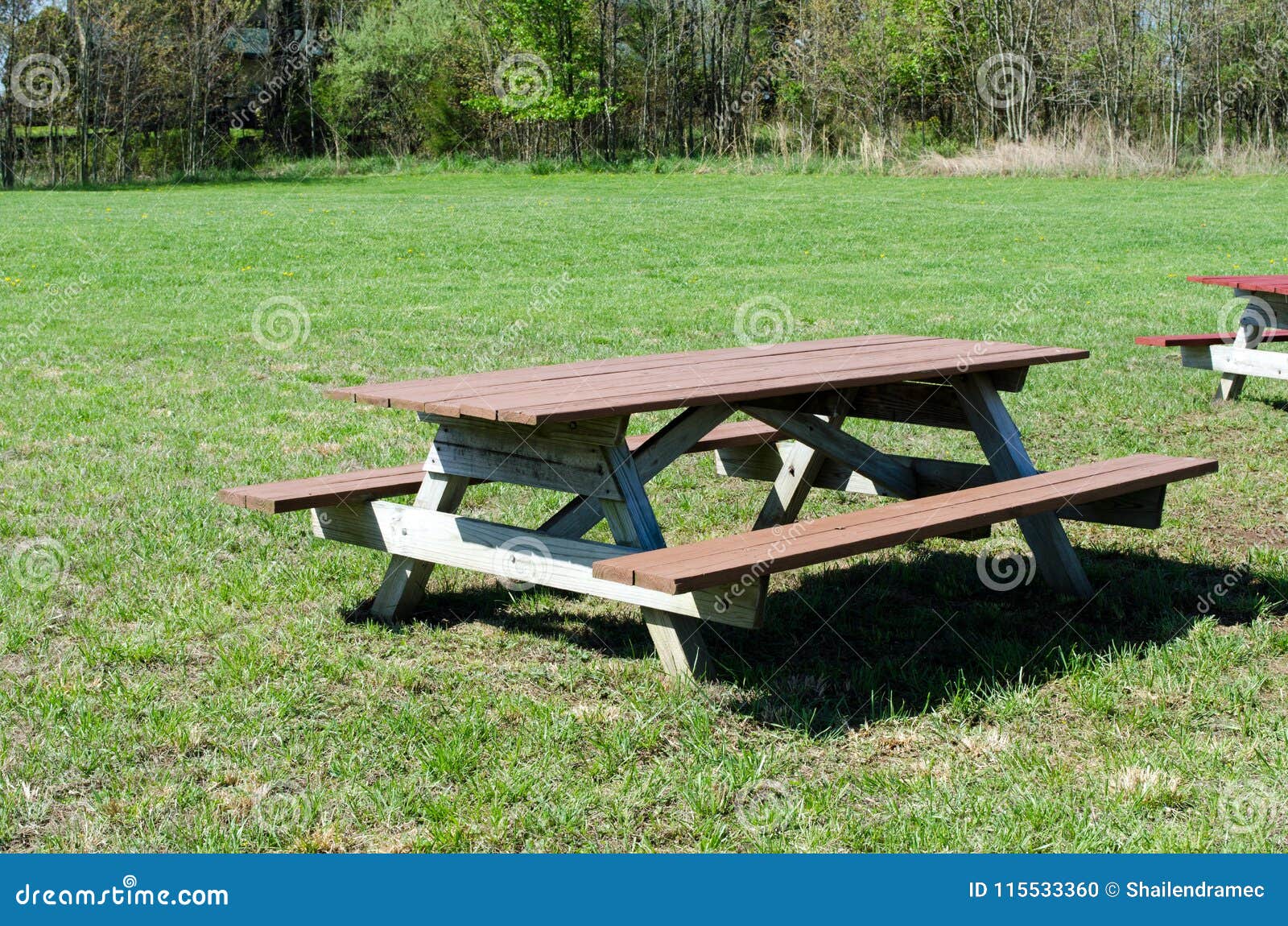 Picnic table in park stock photo. Image of door, grass - 115533360