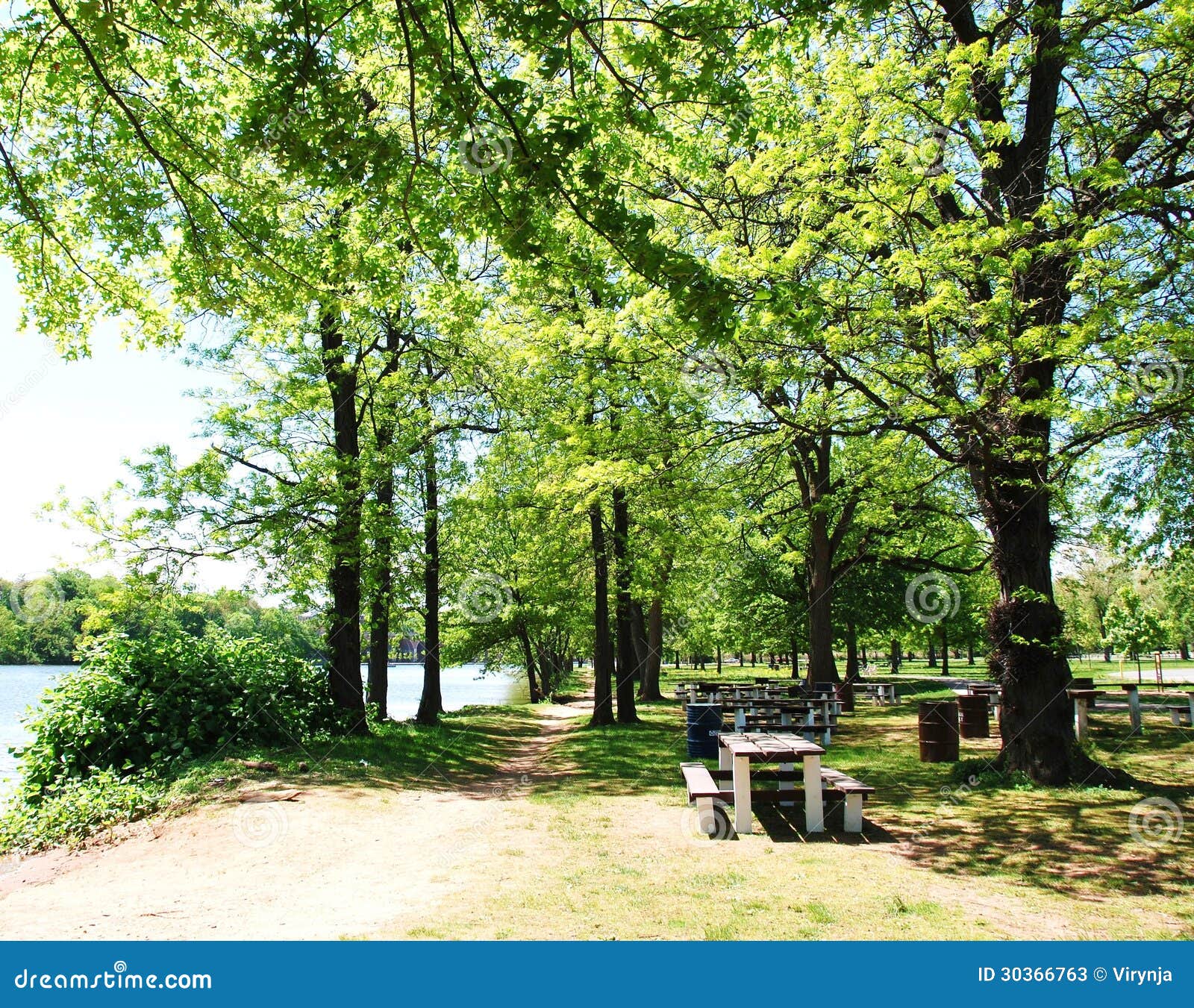 Picnic Table in the park stock image. Image of summer - 30366763