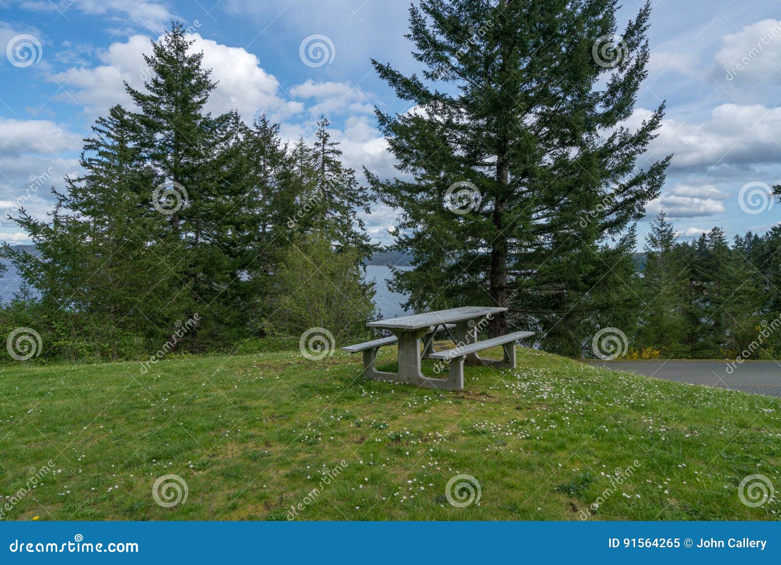 Picnic Table at Park stock image. Image of outdoors, nature - 91564265