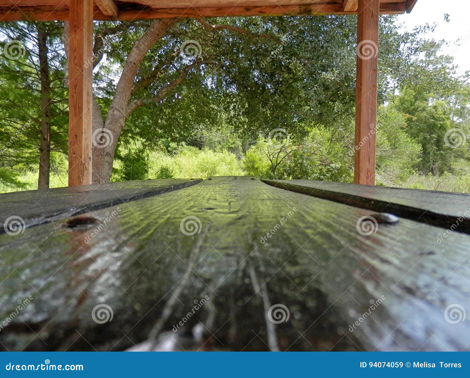 Picnic table stock image. Image of wood, florida, picnic - 94074059