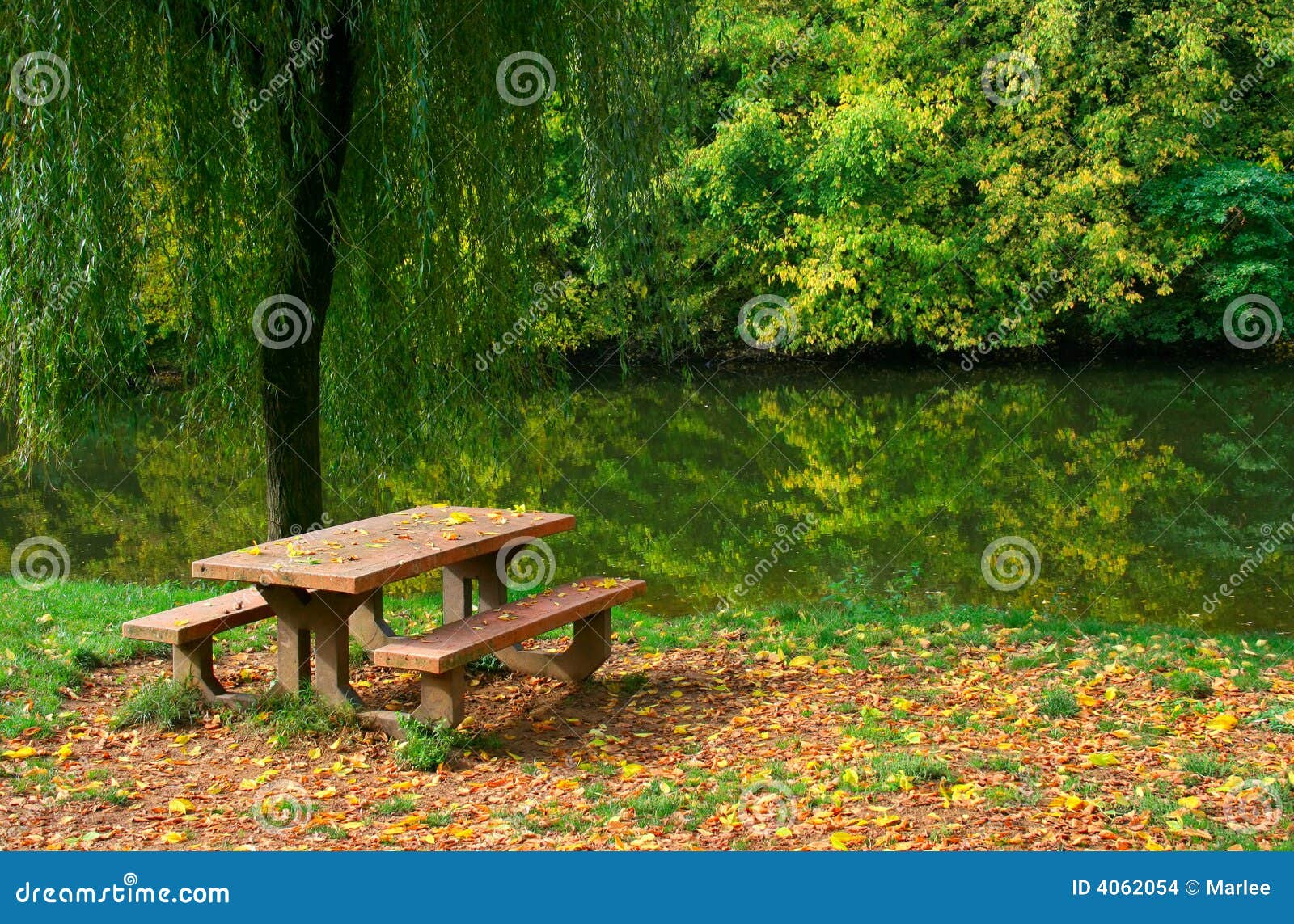 Picnic table by the river stock photo. Image of bench - 4062054
