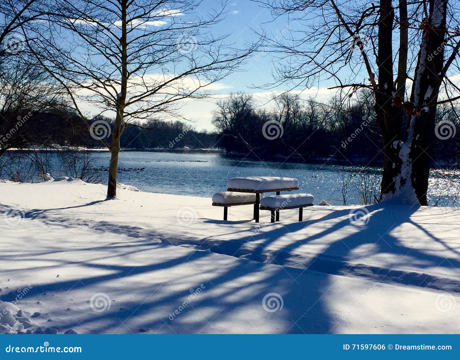 Picnic Table in Snow stock photo. Image of picnic, table - 71597606