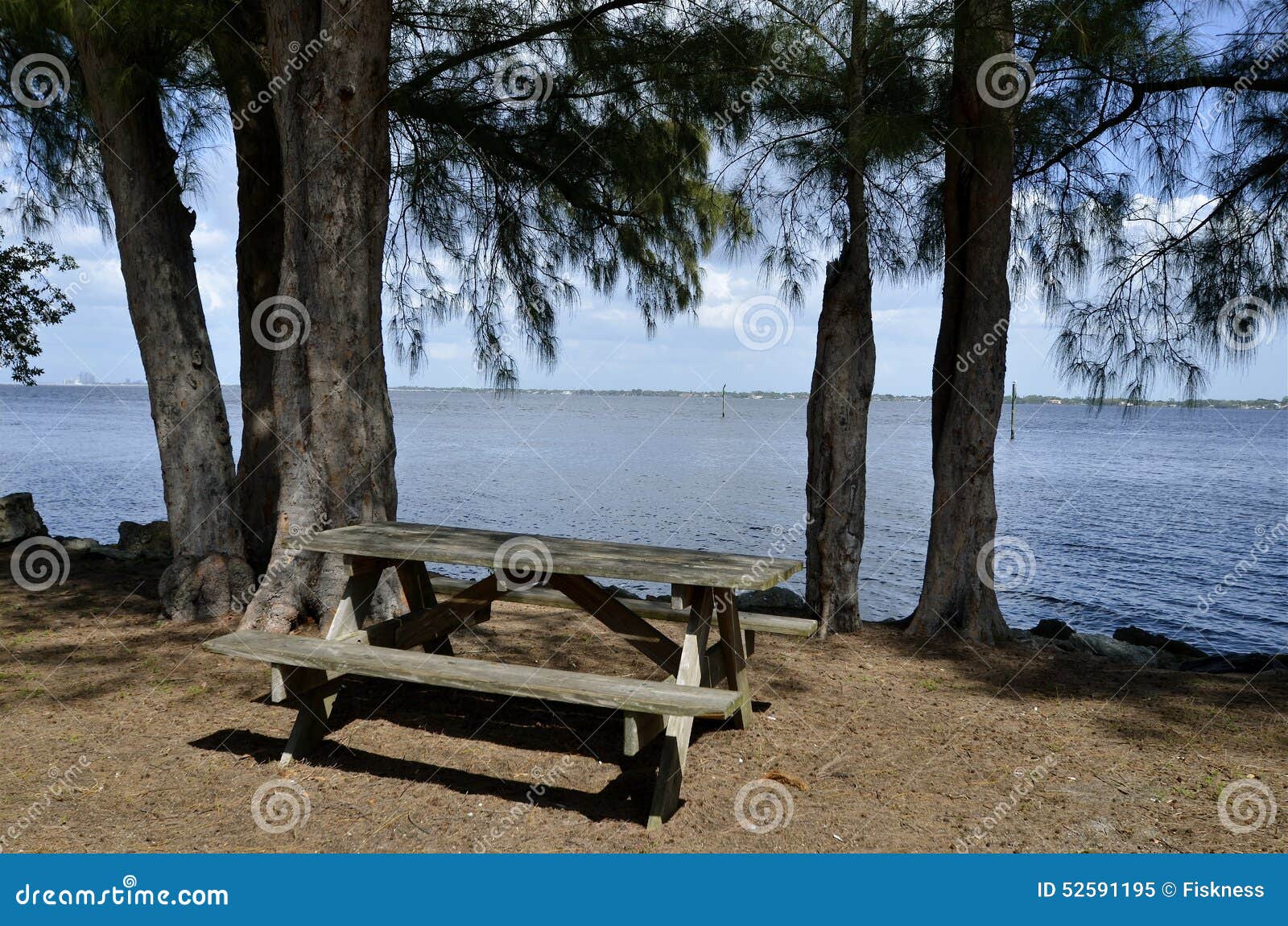 Picnic Table Under the Trees Stock Image - Image of fort, relaxation ...