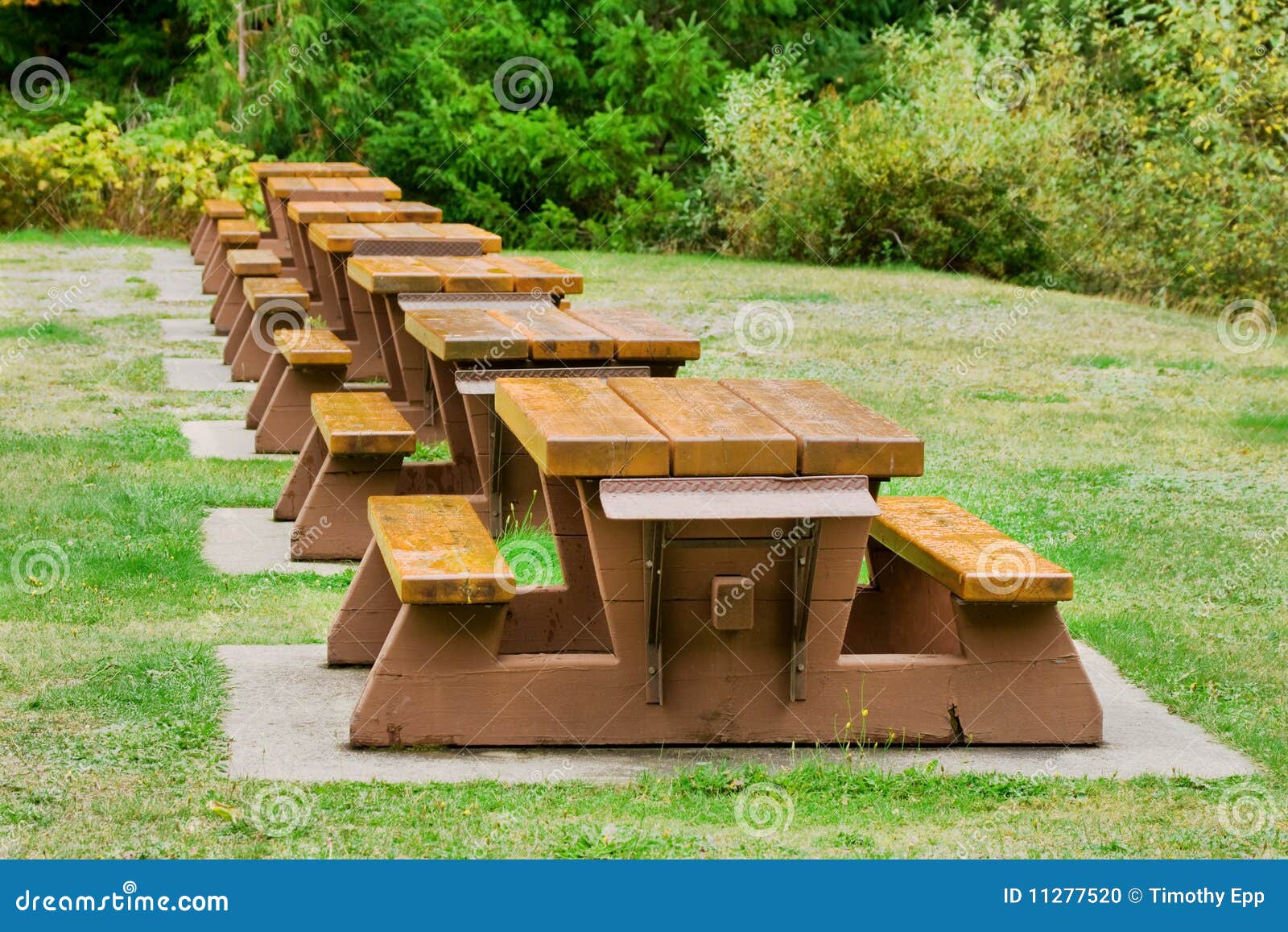 Picnic Tables stock photo. Image of leisure, nature, relaxing - 11277520