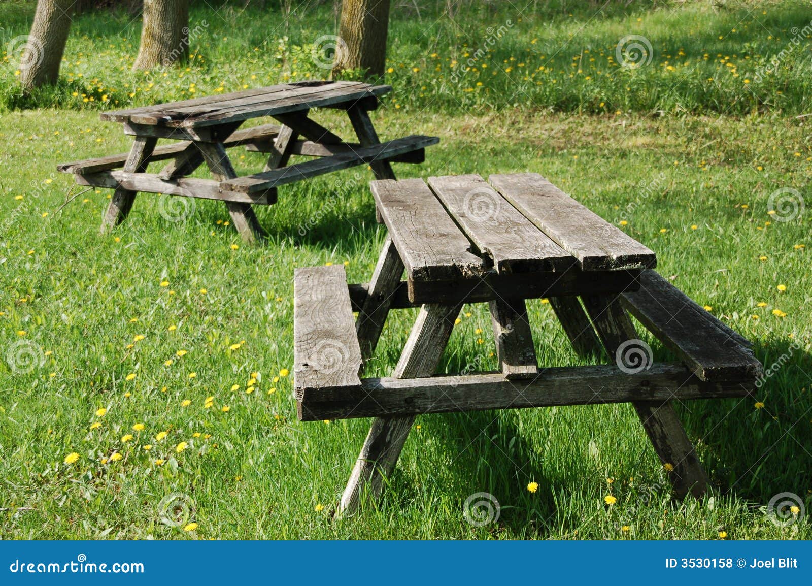 Picnic tables stock photo. Image of sunlight, grass, furniture - 3530158