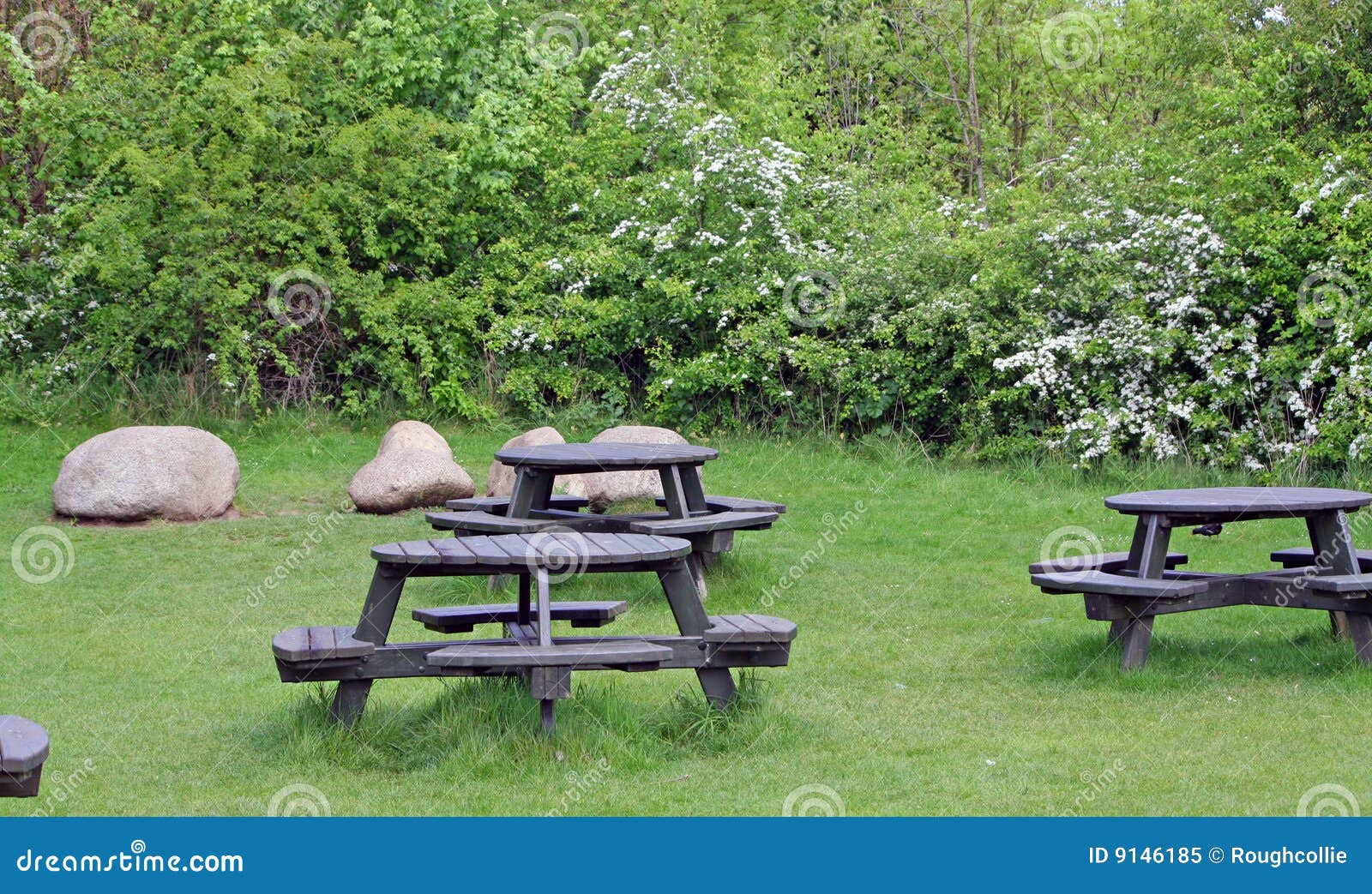 Picnic Tables stock image. Image of tables, wood, picnic - 9146185