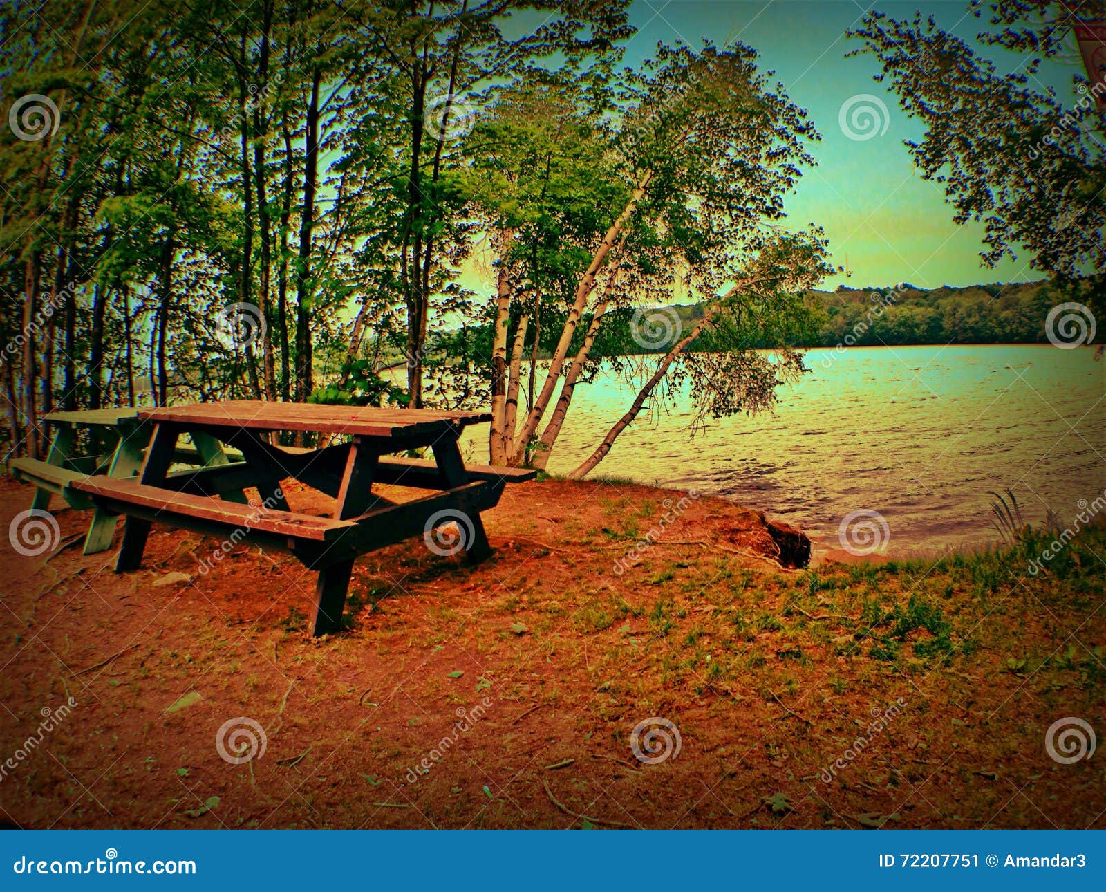 Picnic tables stock image. Image of trees, lake, picnic - 72207751