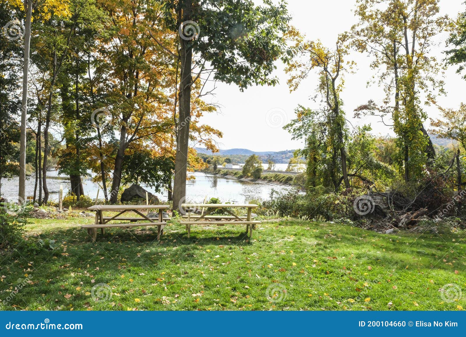 Picnic Tables in the Park during Fall Stock Photo - Image of nature ...