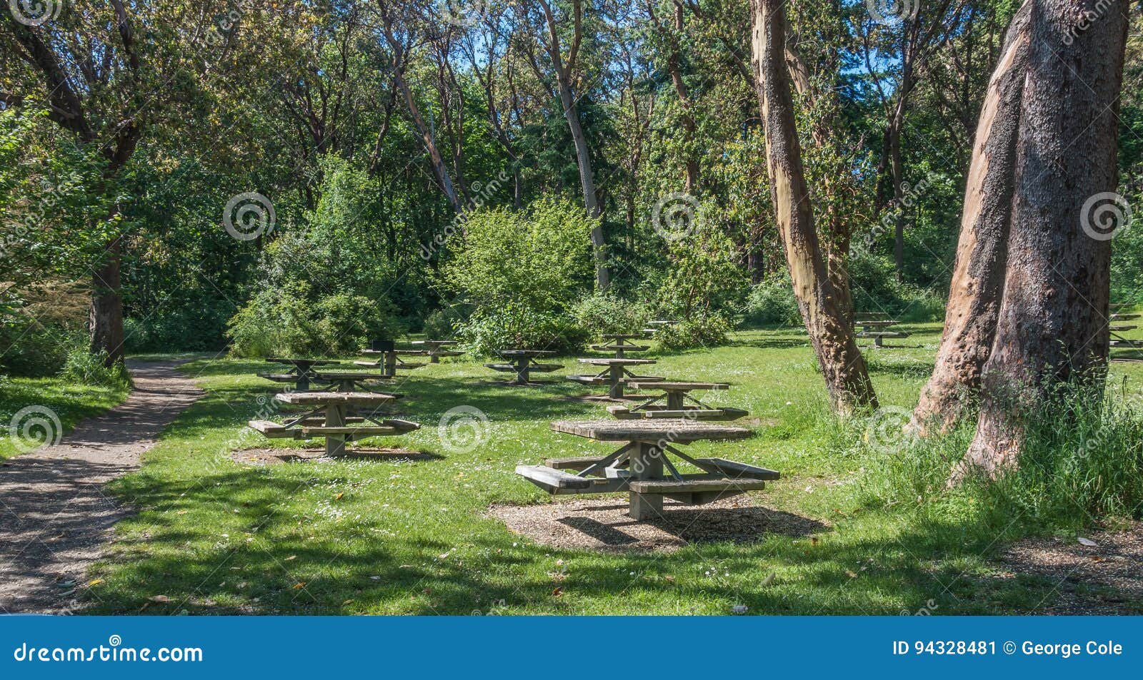 Picnic Tables in the Park stock image. Image of outdoors - 94328481