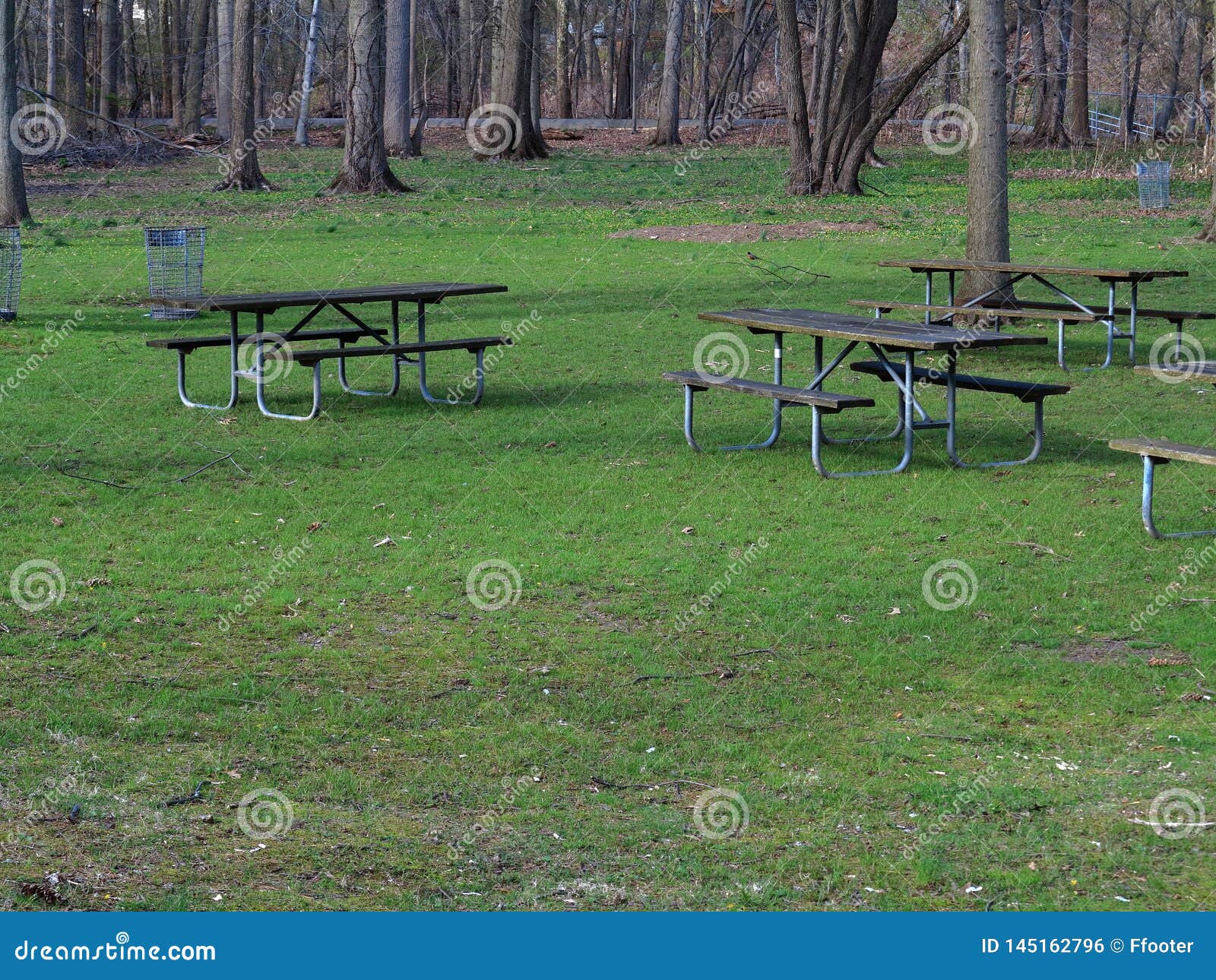 Picnic Tables in Spring stock photo. Image of copy, footpath - 145162796