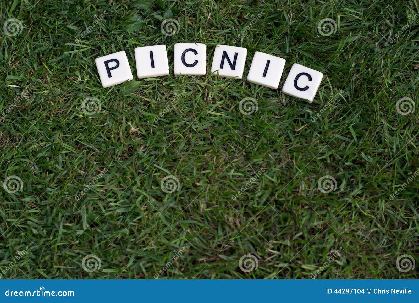 Picnic stock photo. Image of season, turf, word, summer - 44297104