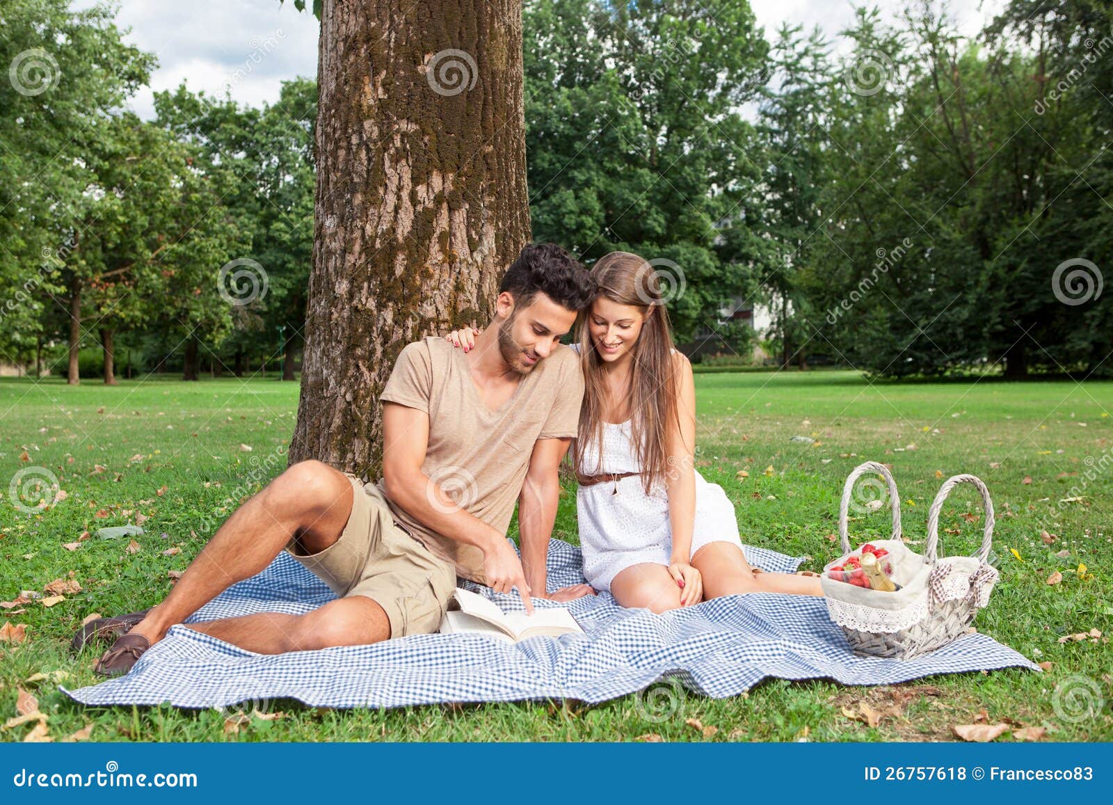 Picnik stock photo. Image of nature, sparkling, beautiful - 26757618