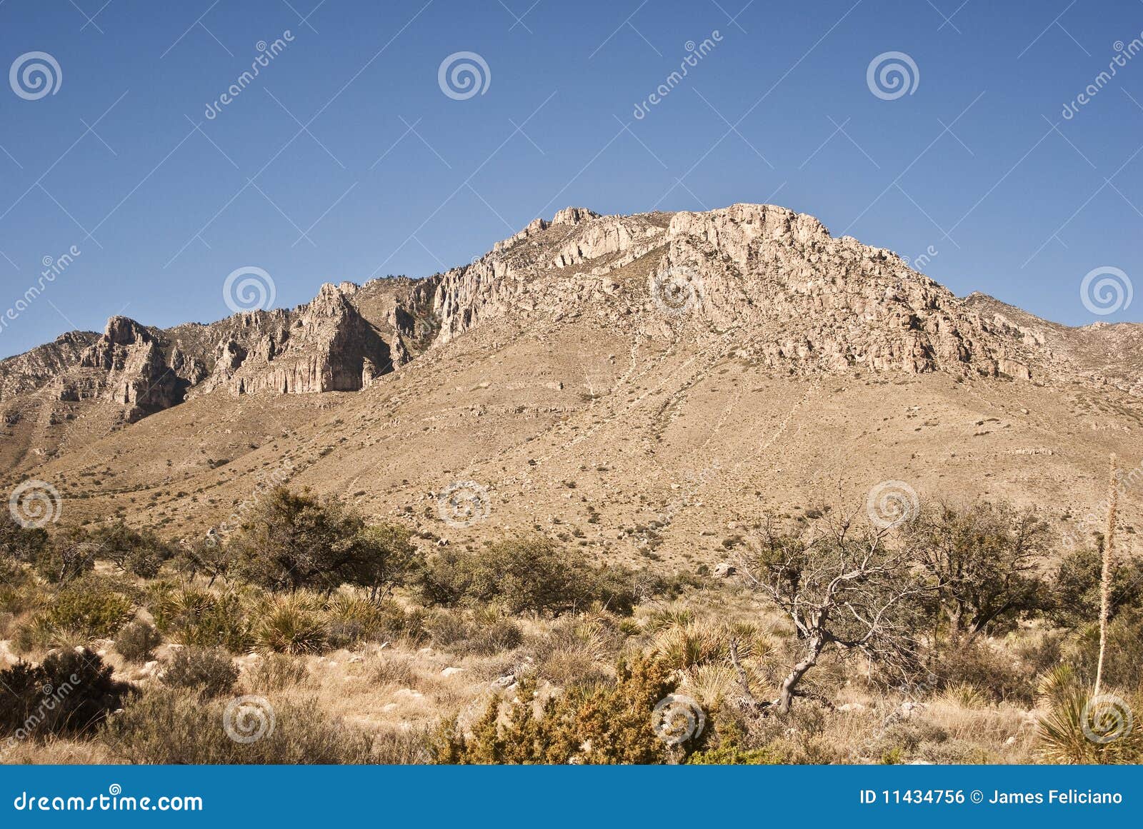 Pico de Guadalupe foto de stock. Imagem de naturalizado - 11434756