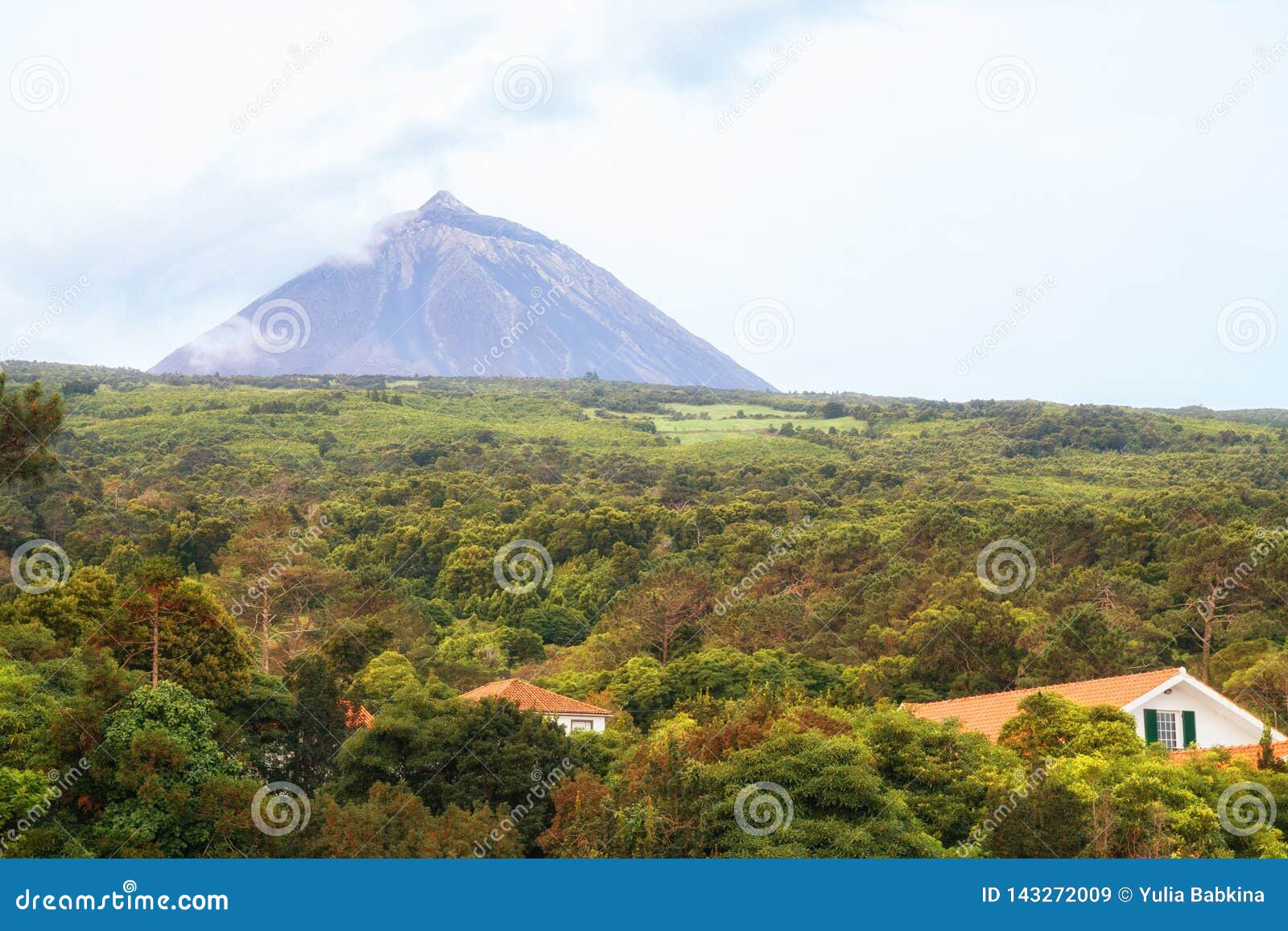 Pico volcano, Azores stock image. Image of countryside - 143272009