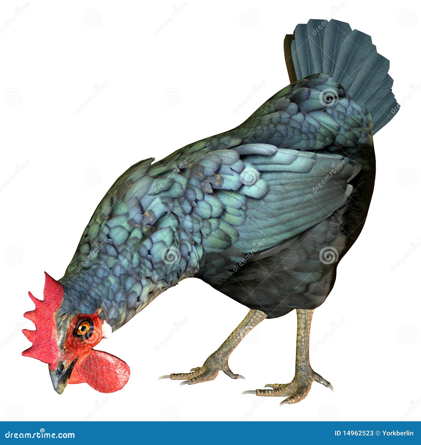 Picotear el pollo stock de ilustración. Ilustración de recorte - 14962523