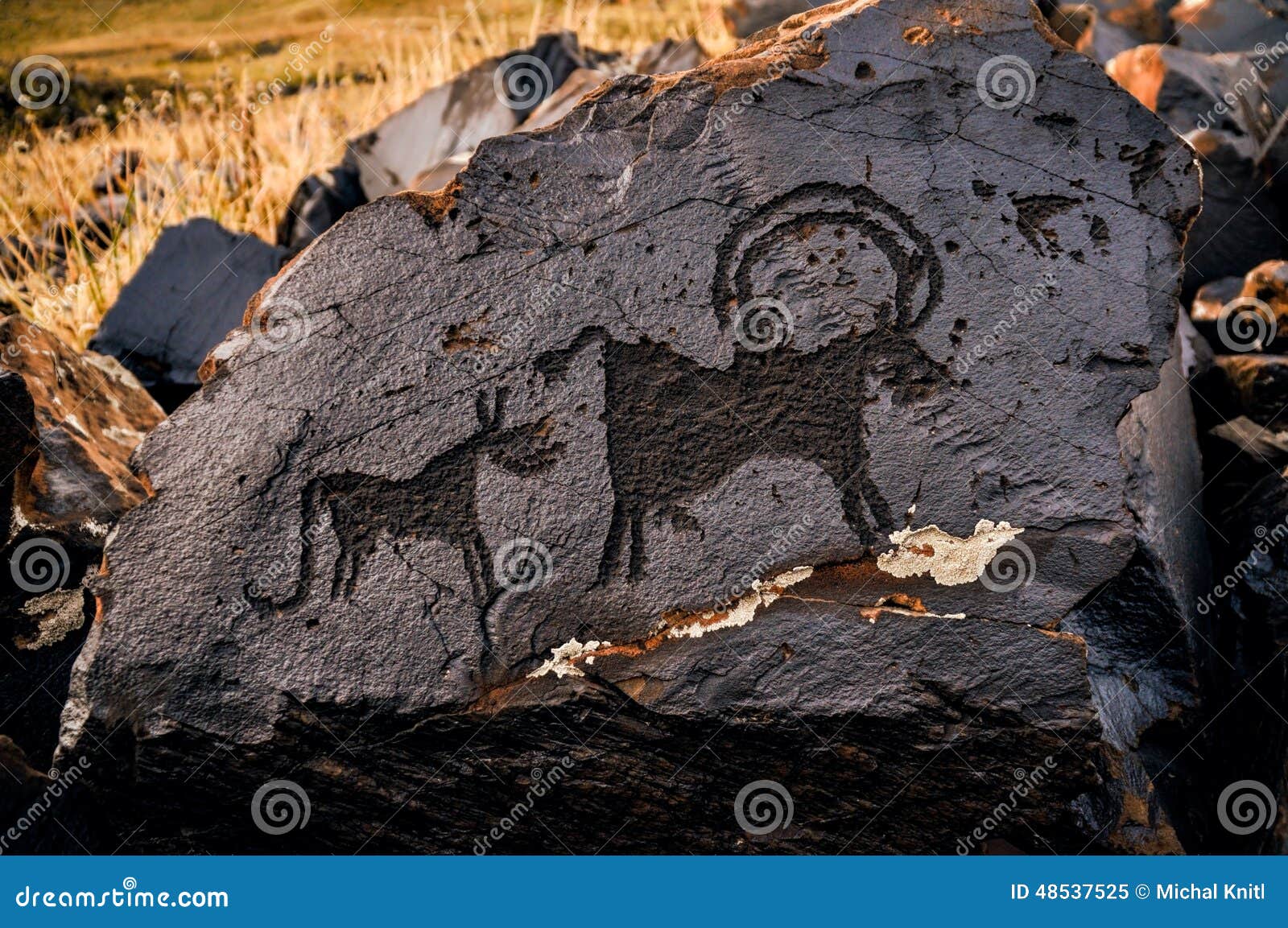Pictograma antiguo imagen de archivo. Imagen de bosquejo - 48537525