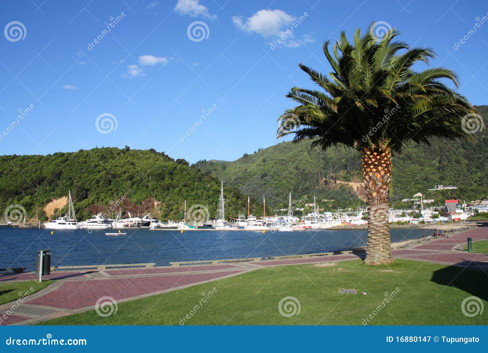 Picton stock image. Image of flowers, flower, vacation - 16880147