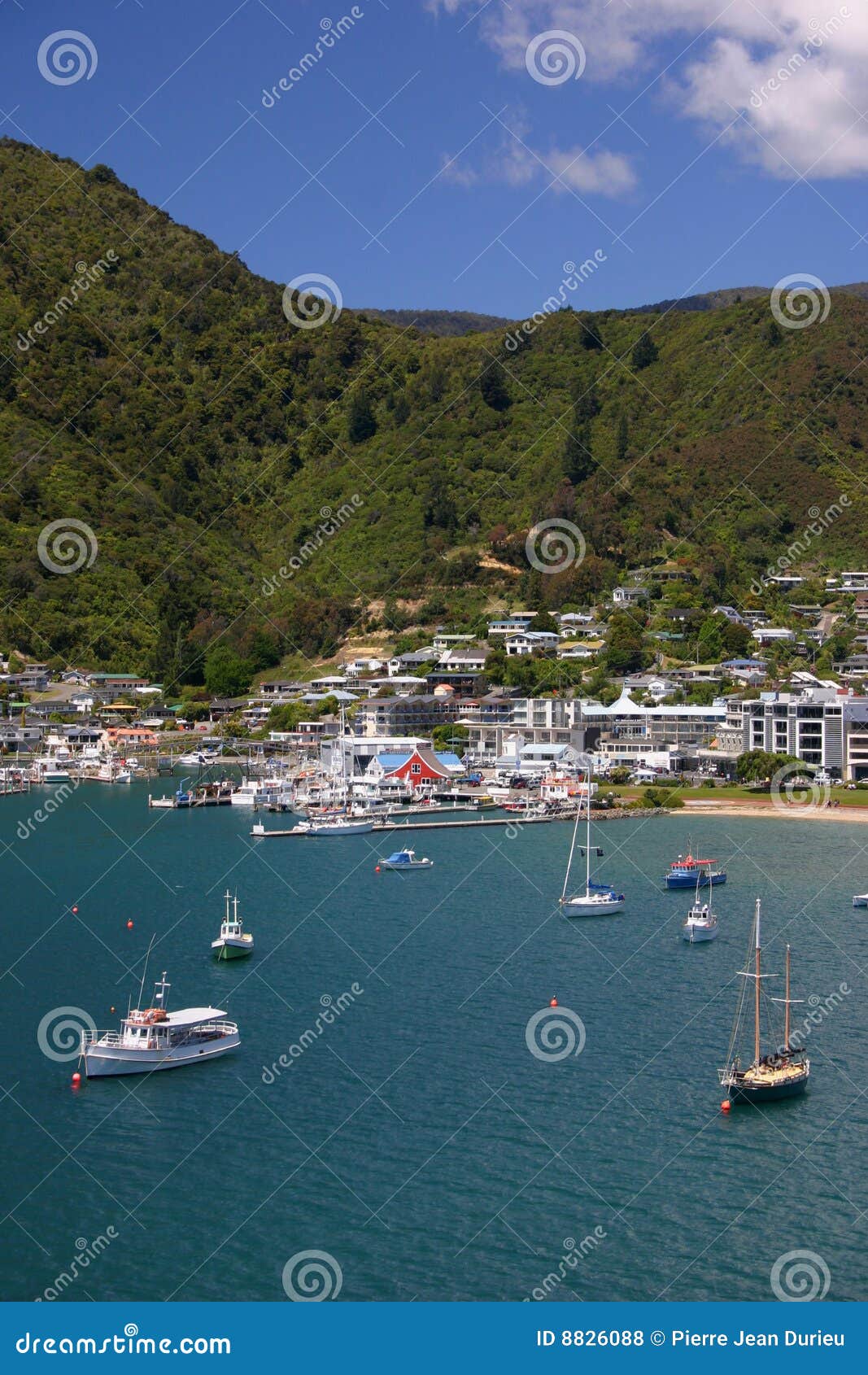 Picton harbour stock photo. Image of sound, shore, island - 8826088