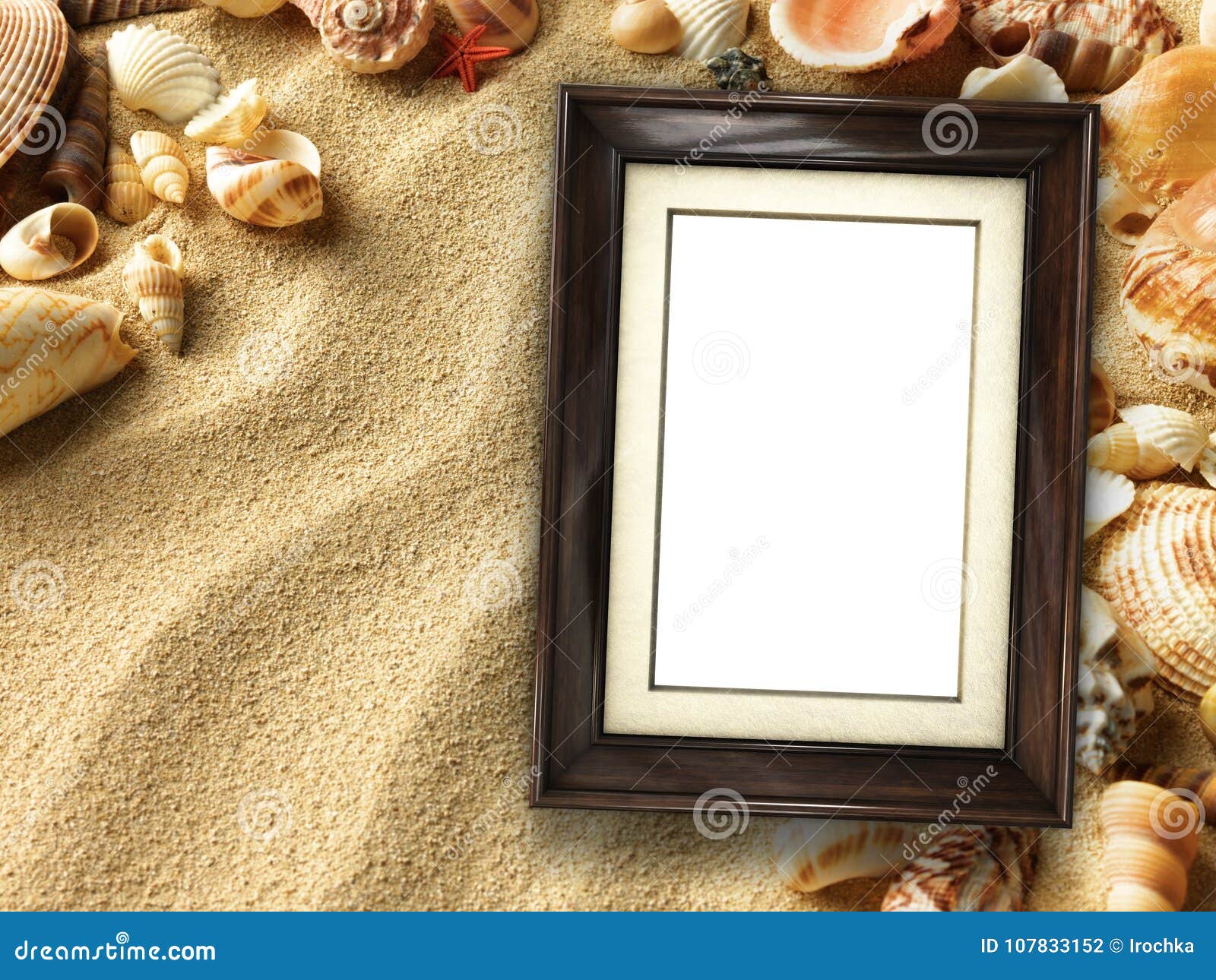 Picture Frame on Shells and Sand Background Stock Photo - Image of ...