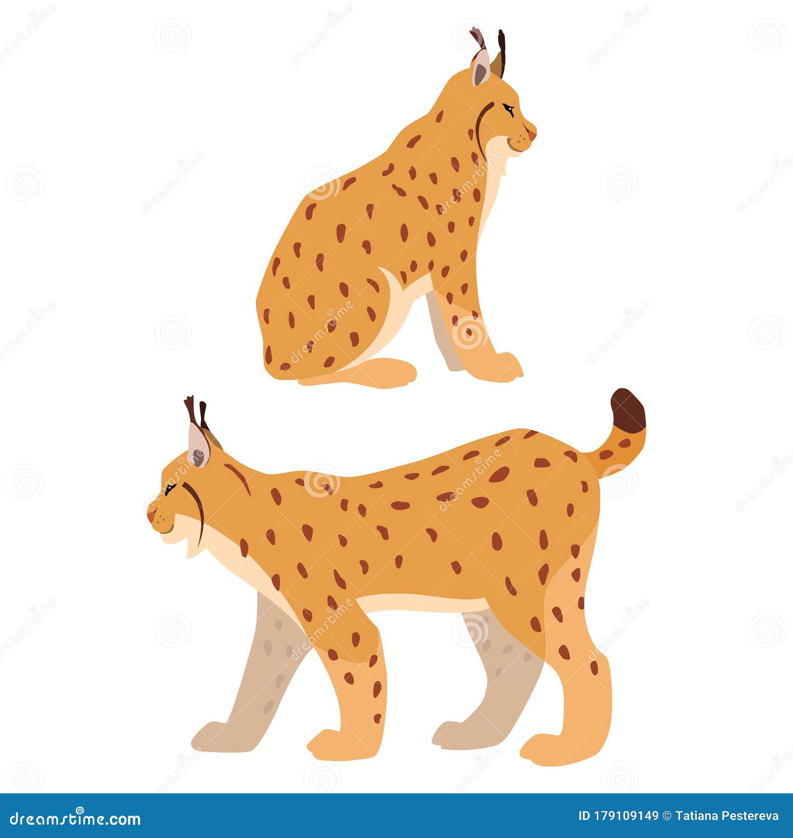 Sitting and walking lynxes stock illustration. Illustration of siberia ...