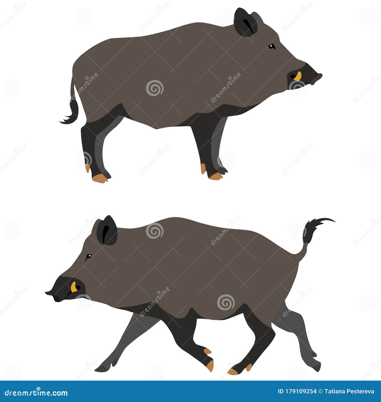 Running Wild Boar. Black And White Vector Illustration Of A Stylized ...