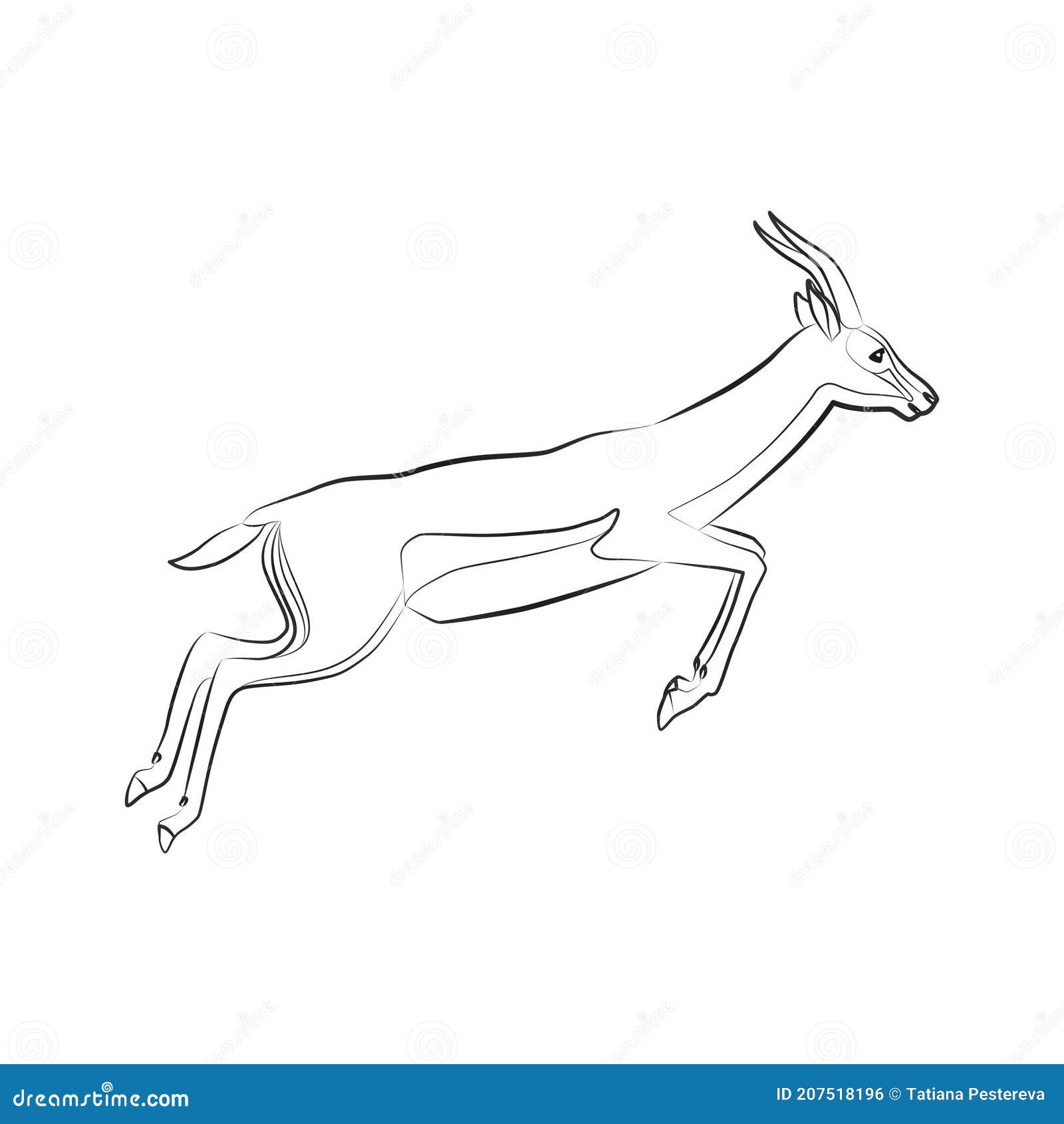 Thomson`s Gazelle Illustration, Drawing, Engraving, Ink, Line Art ...