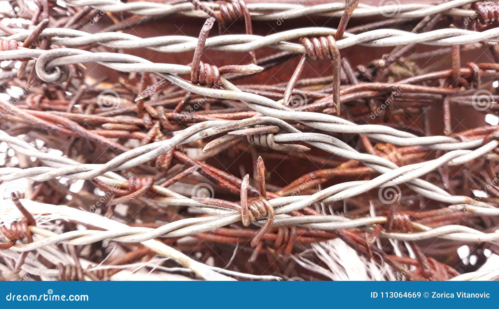 Barbwire texture stock image. Image of steel, texture - 113064669