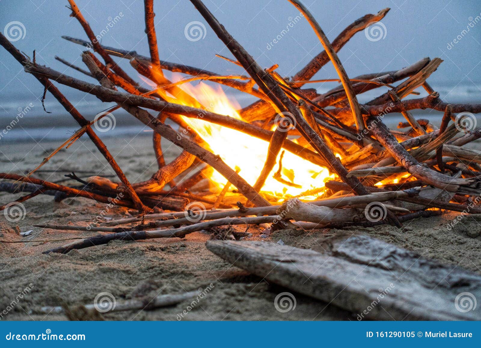 Beach bonfire stock image. Image of nature, camp, wood - 161290105
