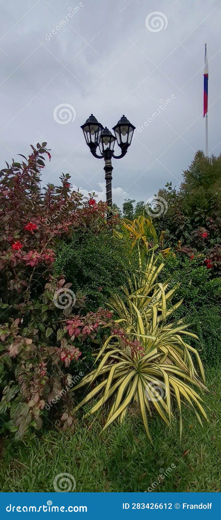 Picture of a Beautiful Garden in the Park with Lamp Post Stock Photo ...
