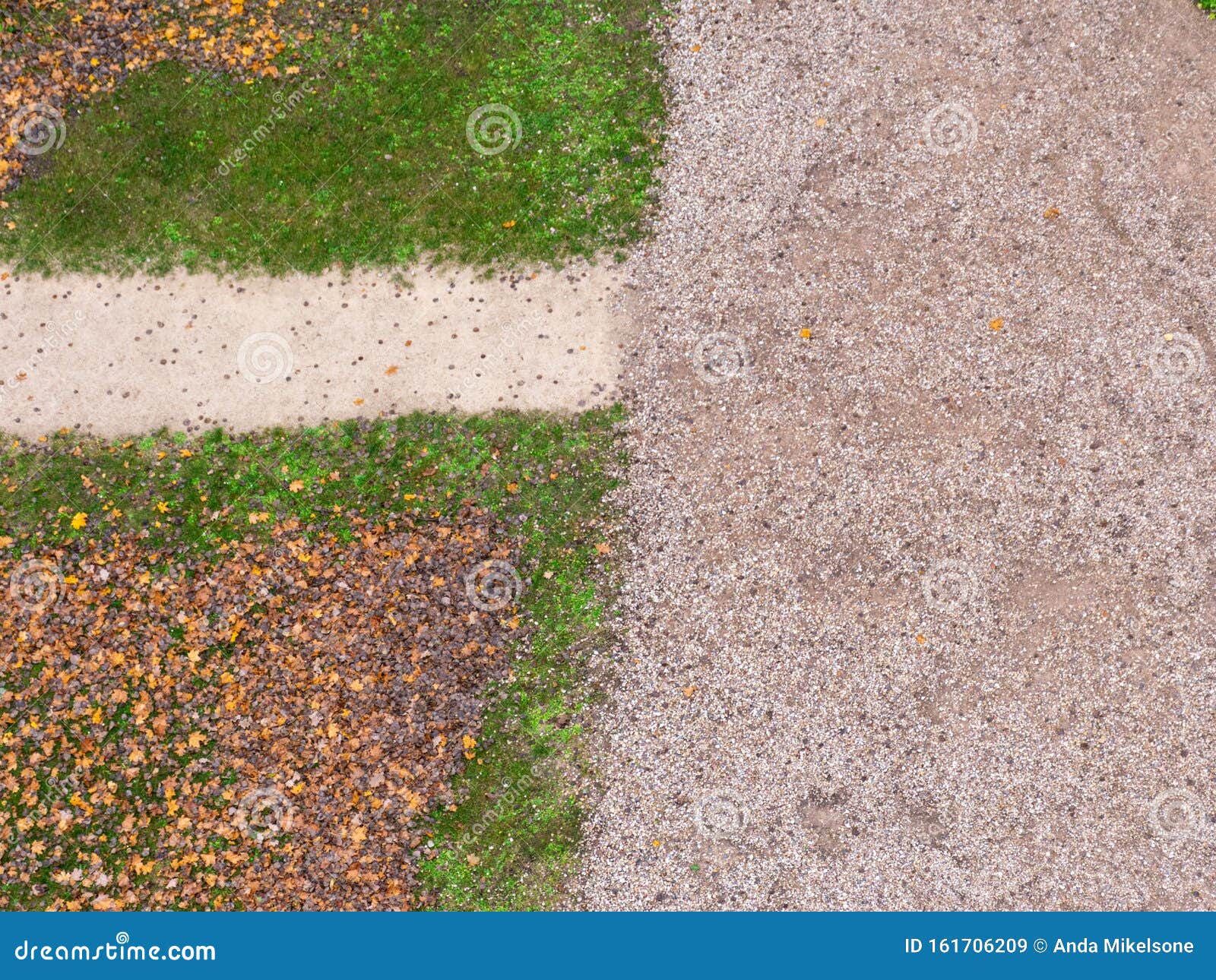 Picture with Beautiful Leaf Pattern on the Ground, Top View, Suitable ...