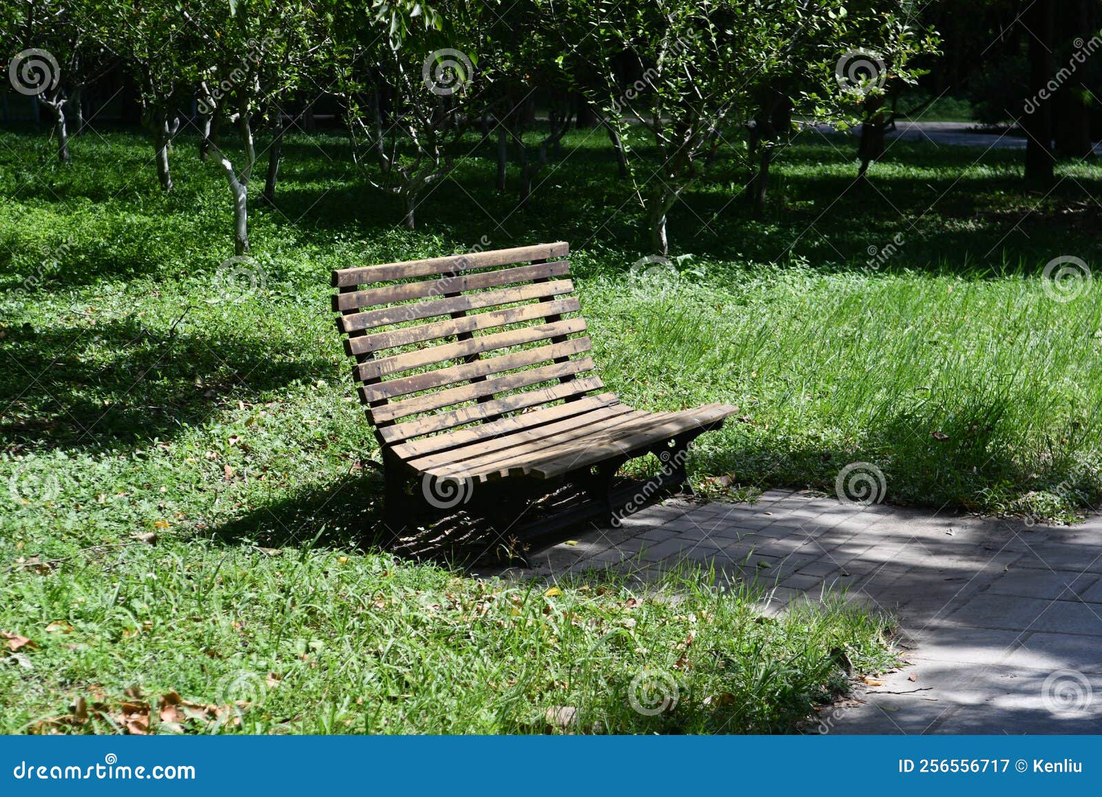 A Bench on the Lawn of the Park Stock Image - Image of design, bench ...