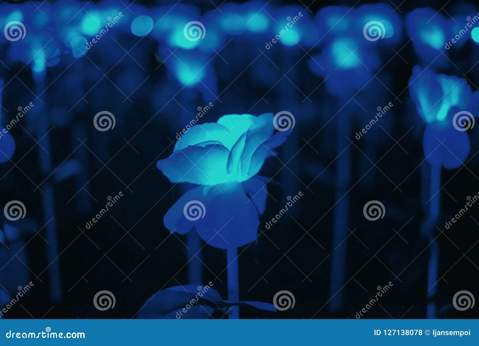 Abstract blue light flower stock photo. Image of flora - 127138078