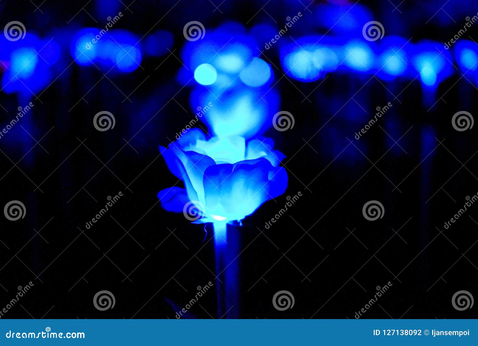 Abstract blue light flower stock photo. Image of beautiful - 127138092