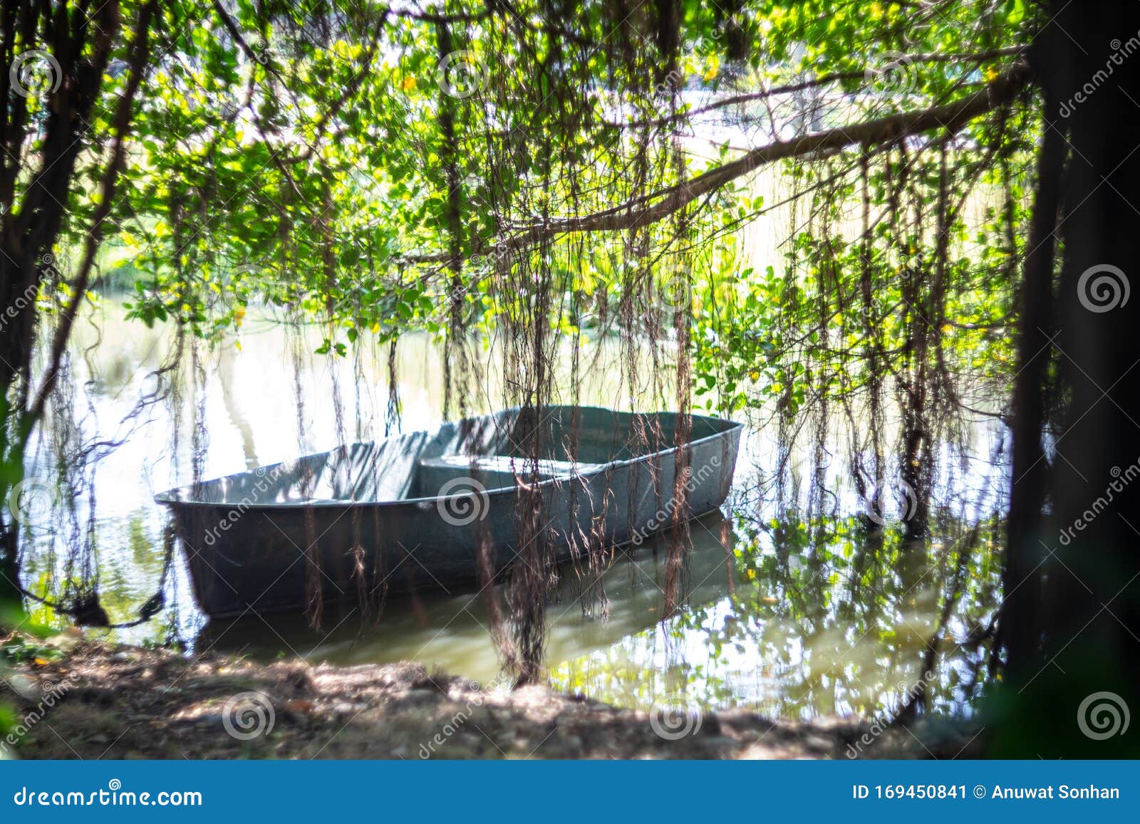 Picture of a Boat on the River and with Banyan Trees Stock Image ...