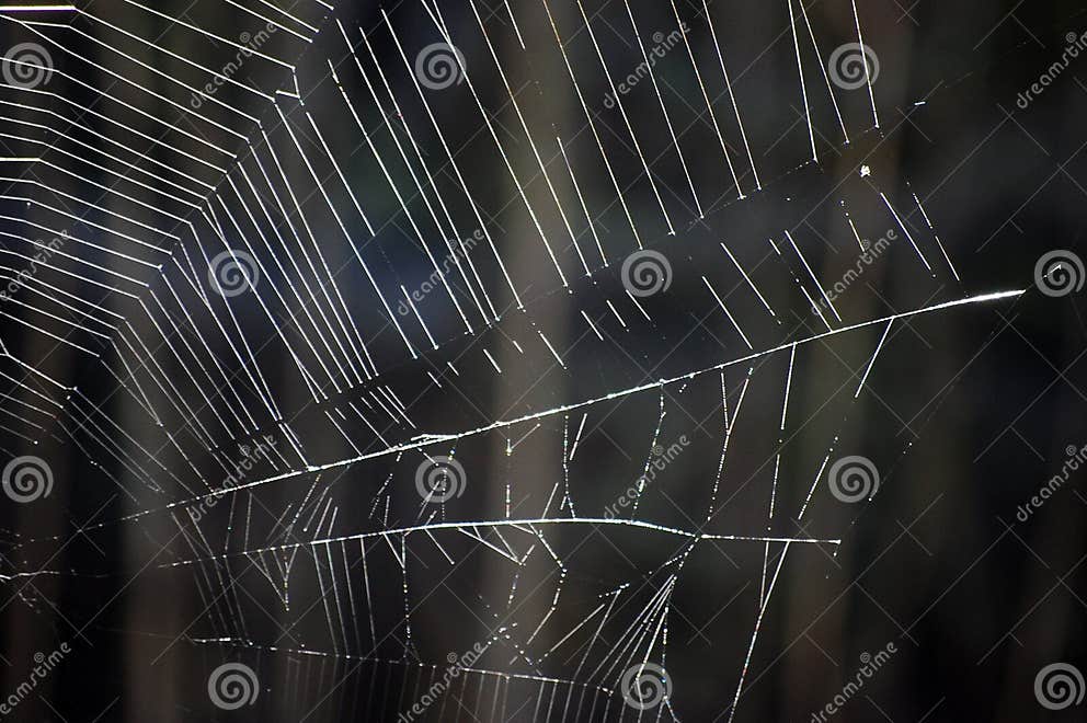 A Picture of a Broken Spider Web at Close Range Stock Image - Image of ...