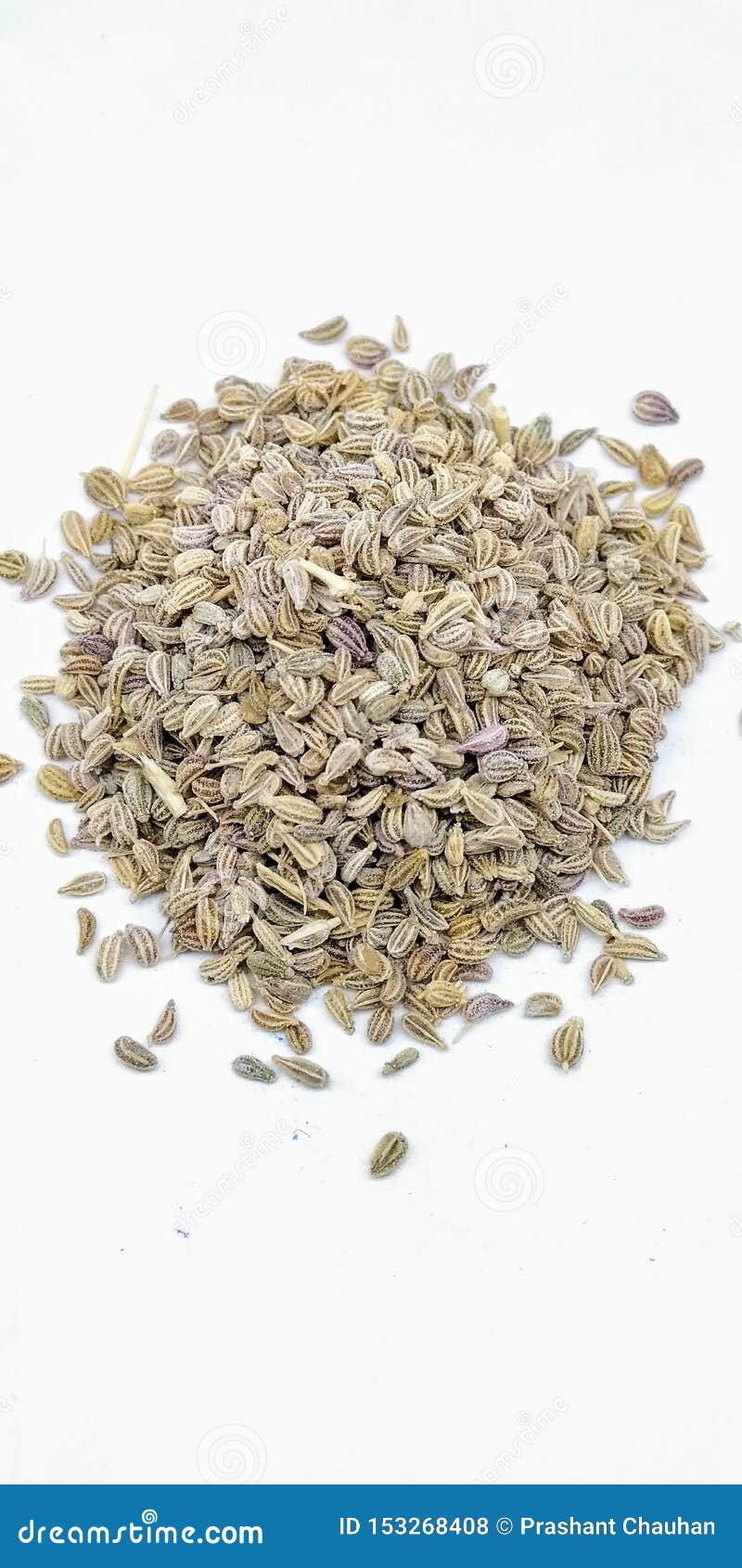 A picture of carom seeds , stock photo. Image of alternative - 153268408