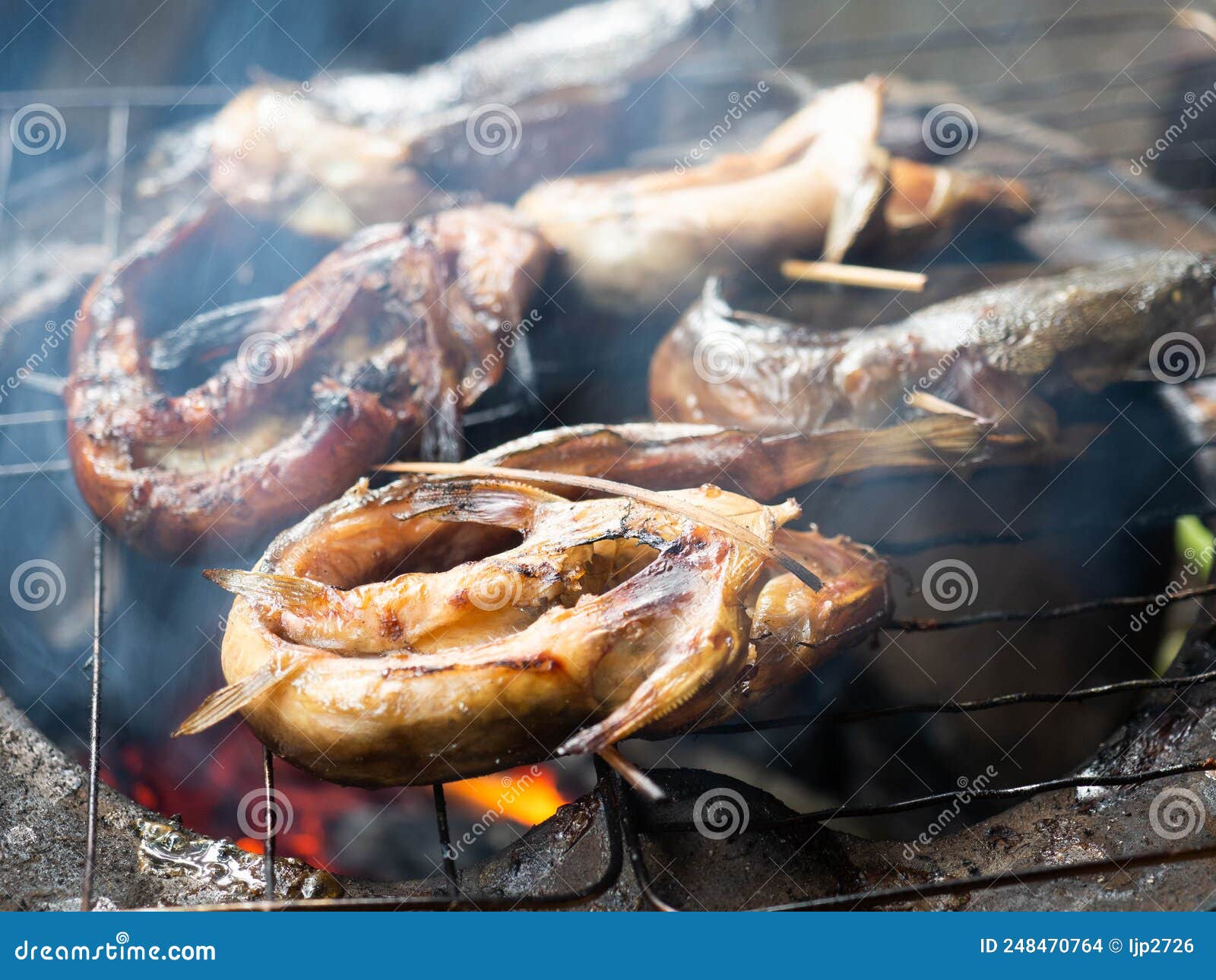 Picture of Catfish that on a Smoking Process Stock Photo - Image of ...