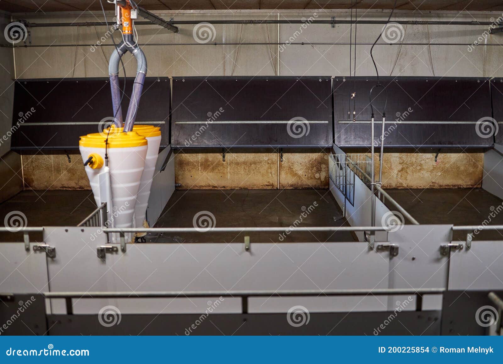Picture of Clean Empty Pig Stall. Stock Photo - Image of empty, economy ...