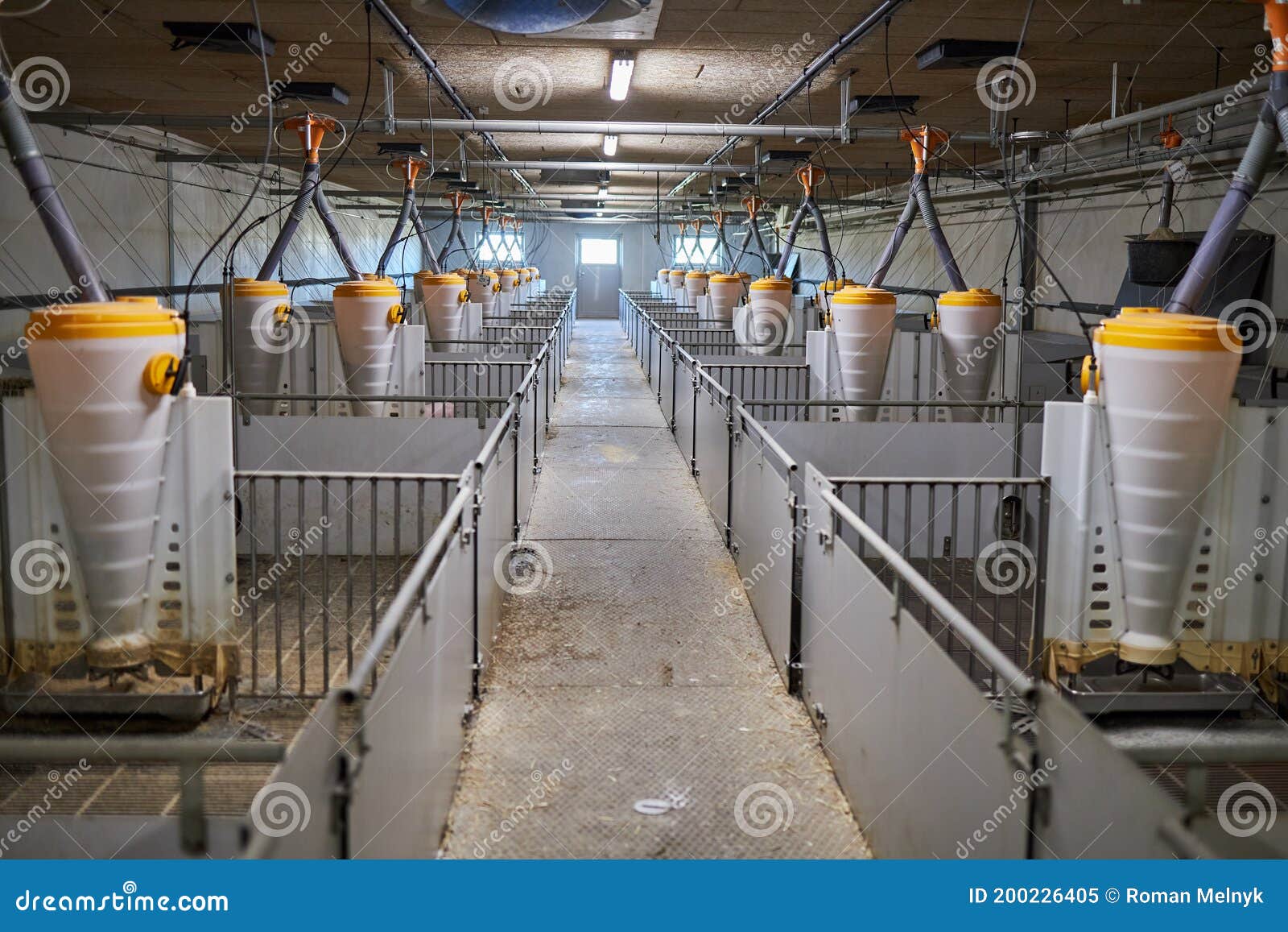 Picture of Clean Empty Pig Stall. Stock Image - Image of frame, farming ...