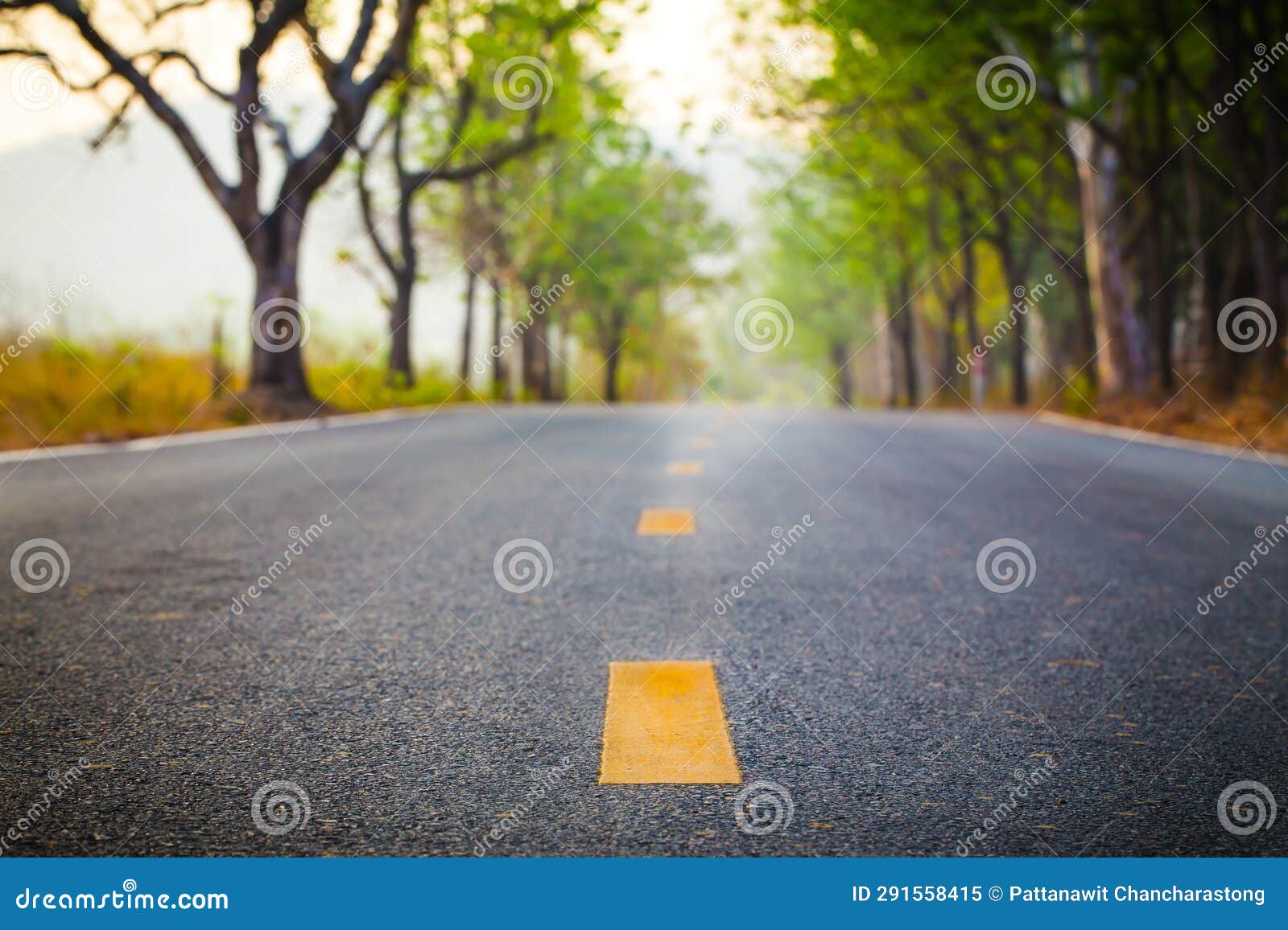 Picture Concept, the Road Ahead Will Be Long. Start from the First Step ...