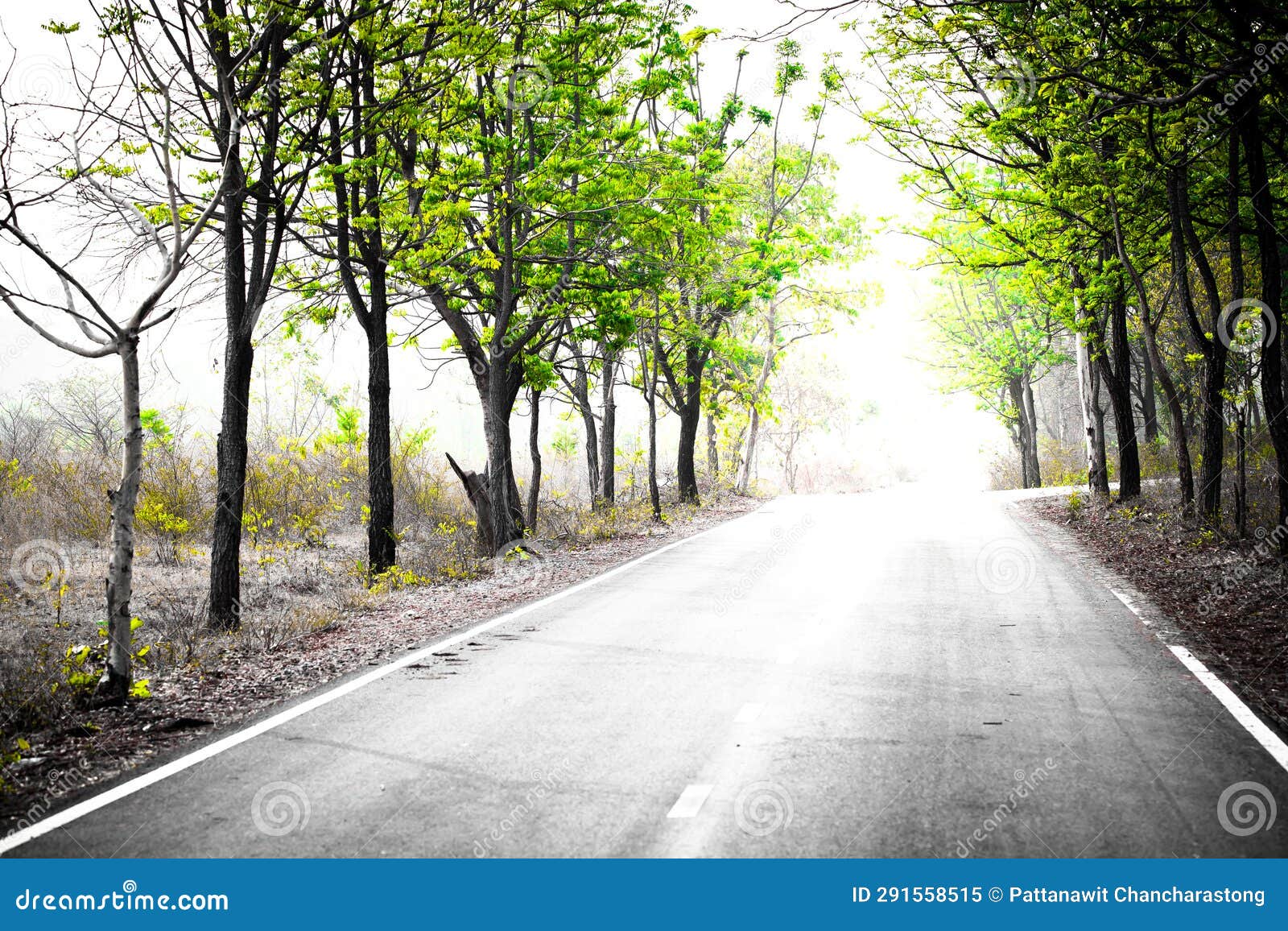 Picture Concept, the Road Ahead Will Be Long. Start from the First Step ...